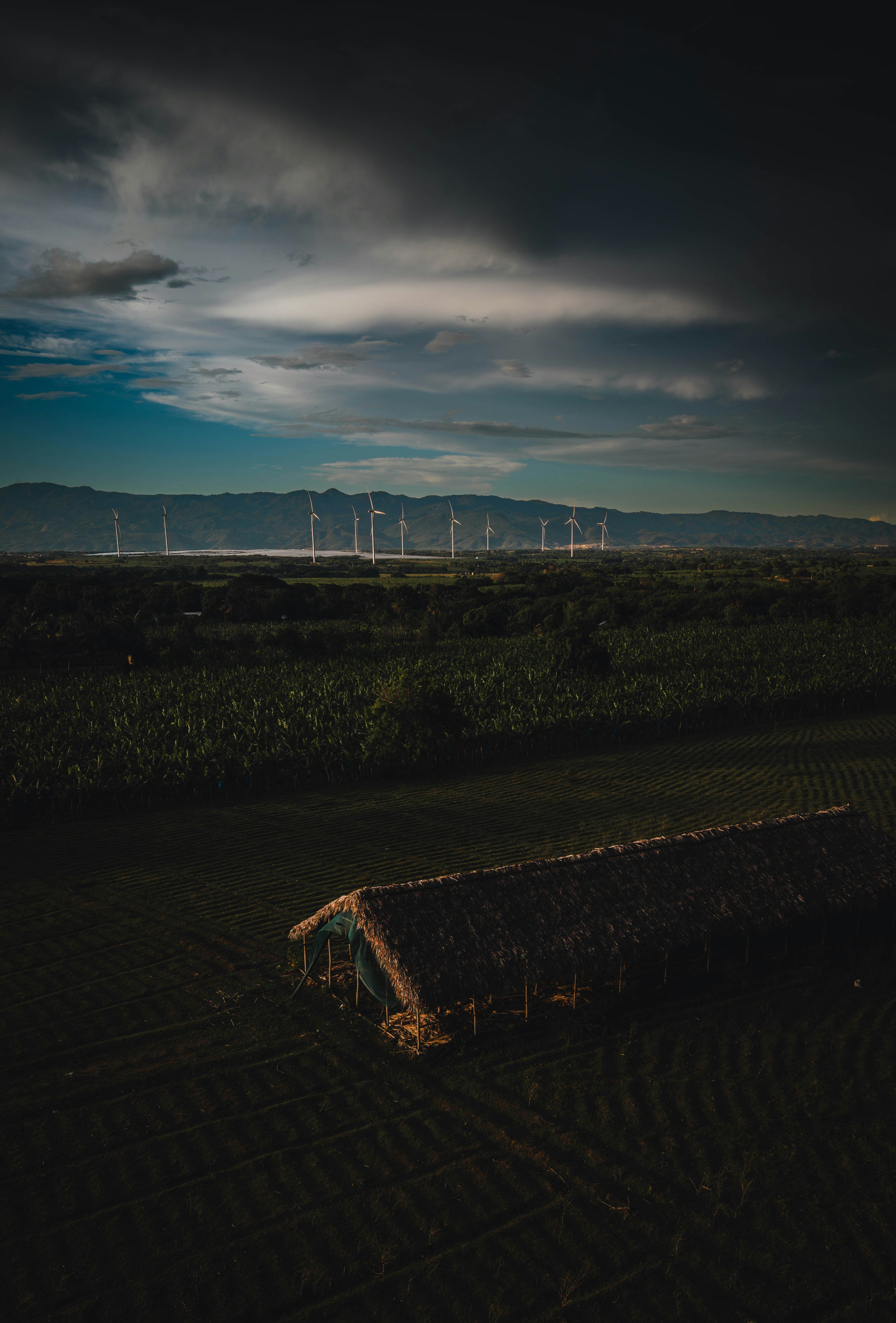 Windward Field: A Lone Shelter Beneath a Distant Line of Turbines