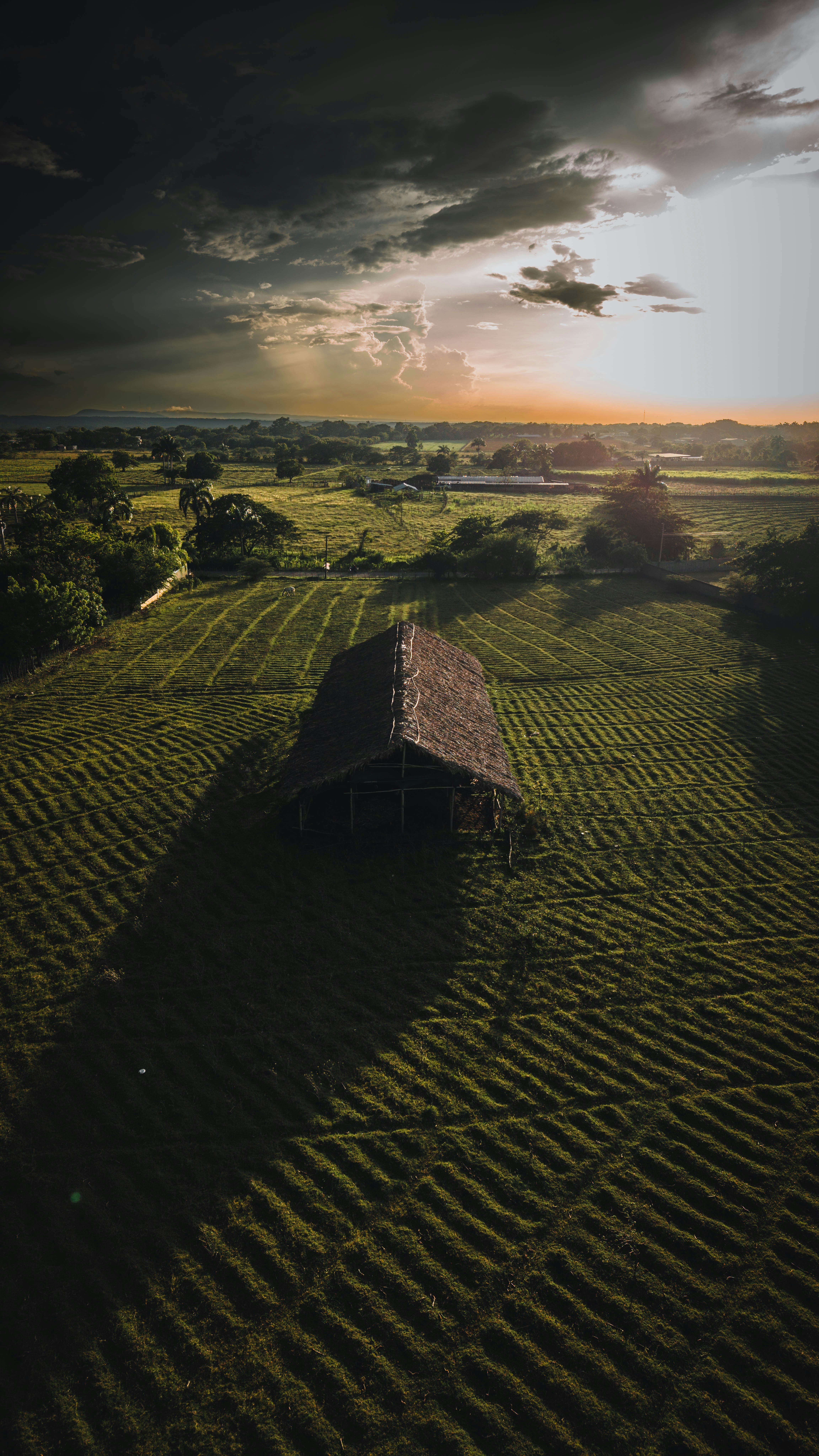 Sunset Over a Quiet Harvest: The Barn in the Grid of Fields