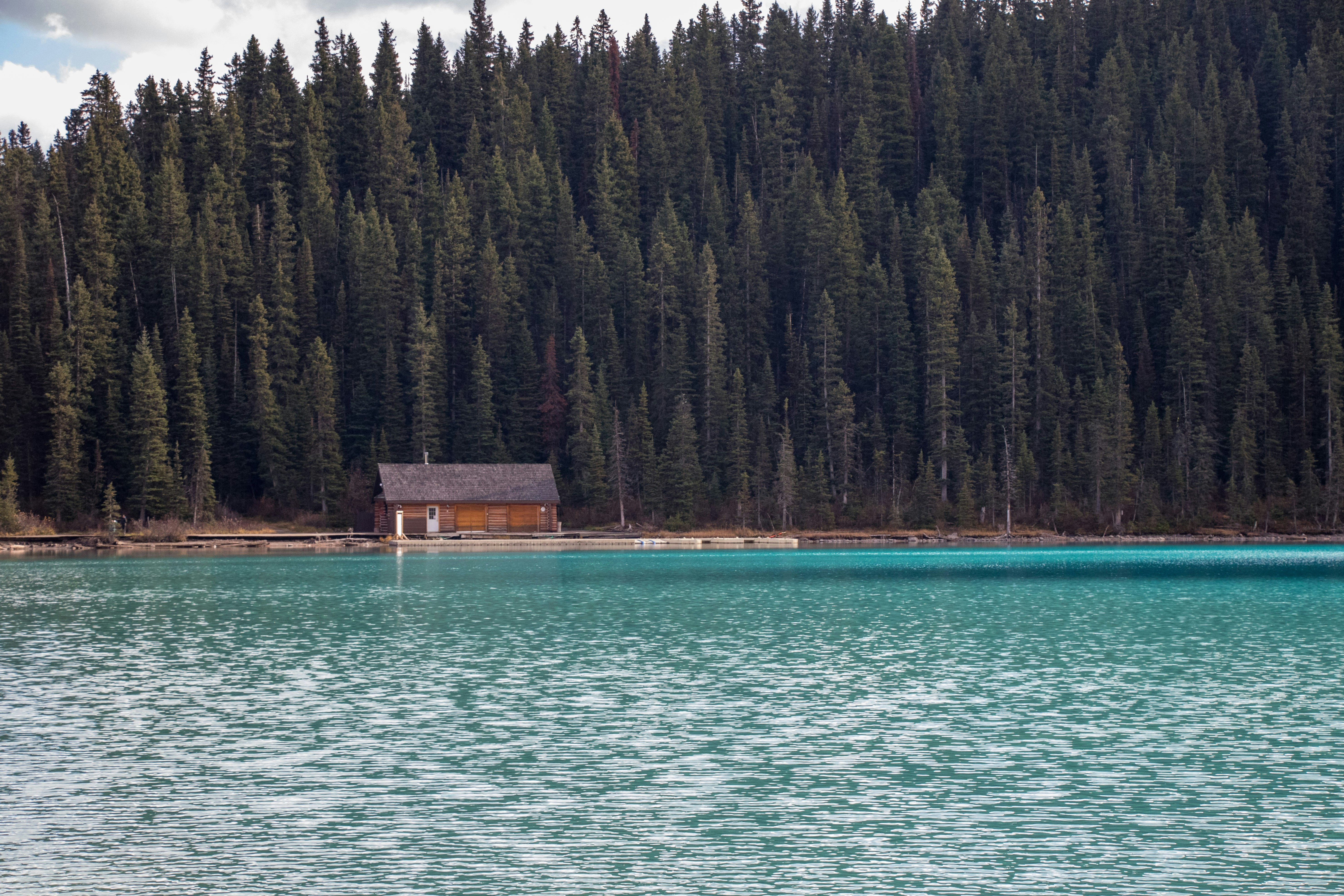 Azure Mirror: A Quiet Cabin at the Forest Edge