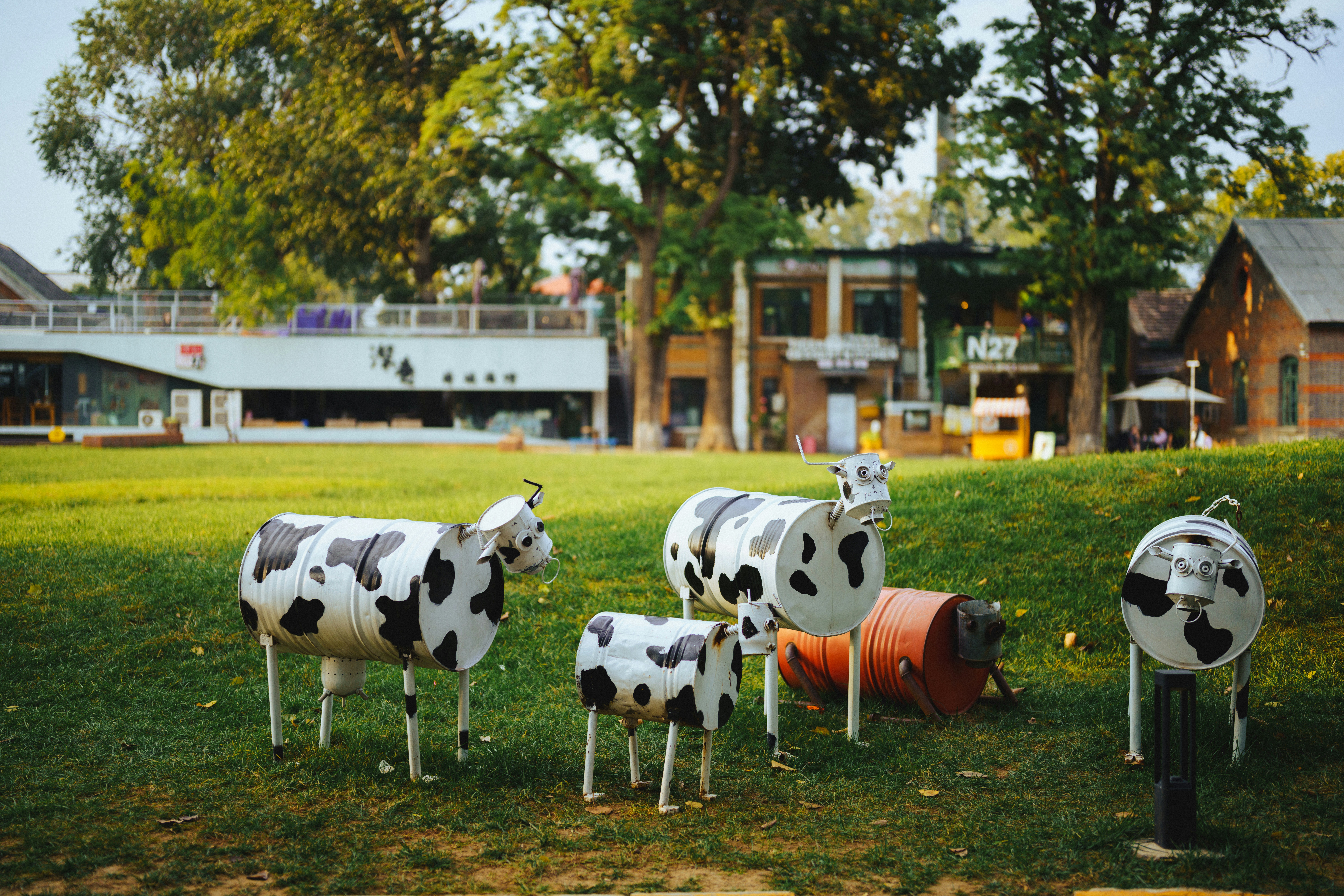 Pasture Parade: The Cow Sculptures Gather in a Sunlit Park