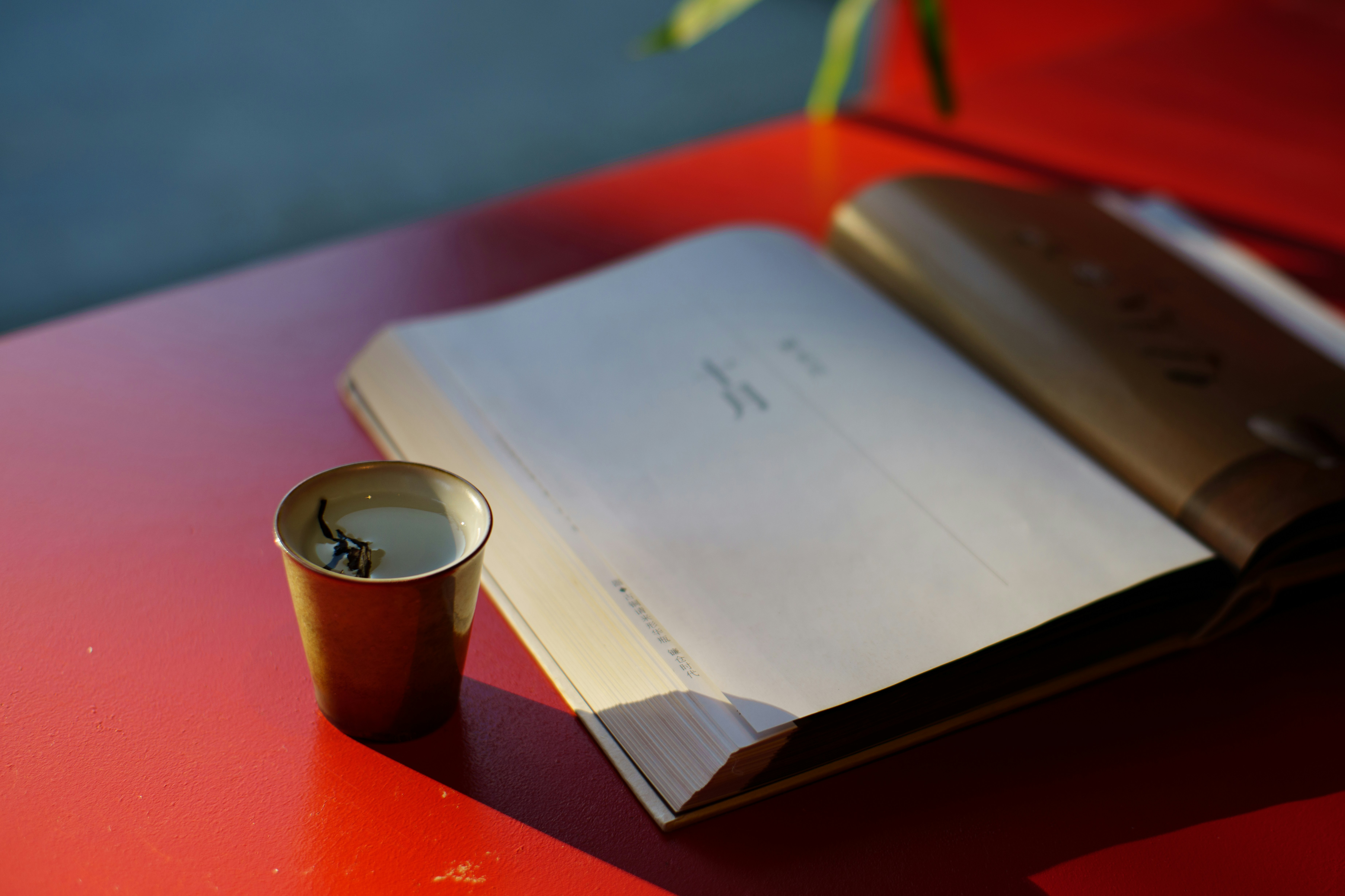 Open Pages on a Red Studio Table