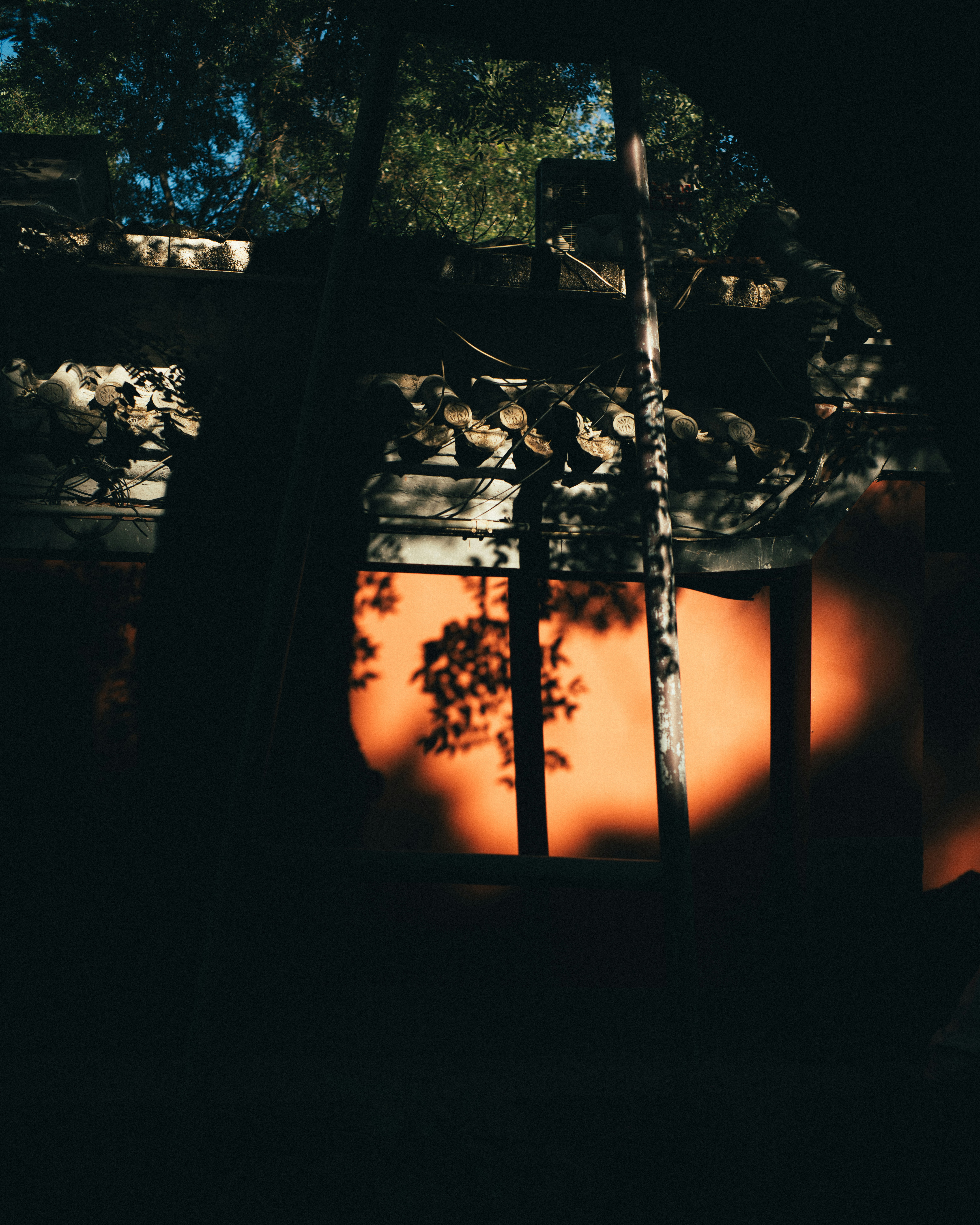 Shadows, Steel, and Sunset Orange: A Quiet Facade in Dappled Light