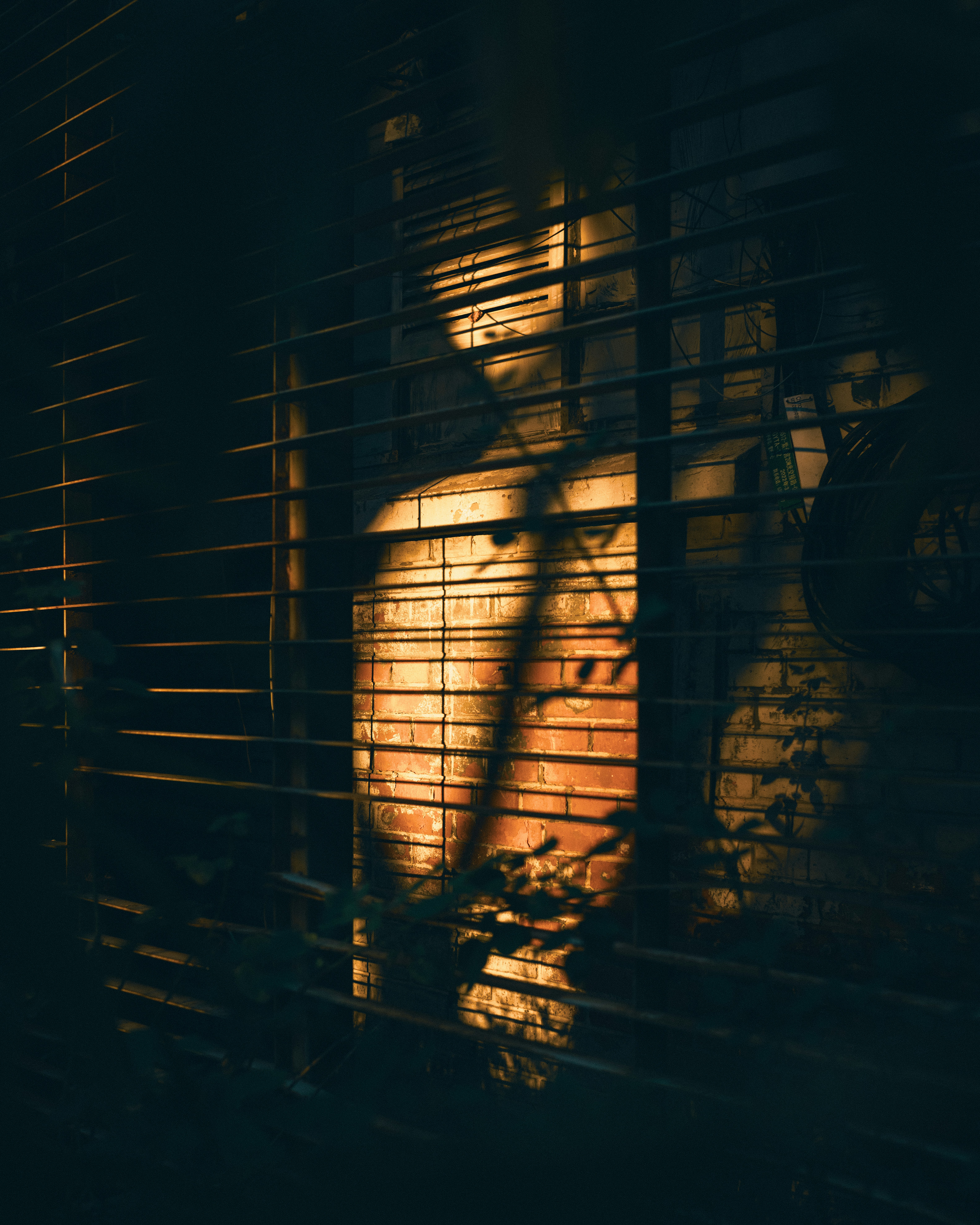 Whispers Behind the Slats: A Quiet Portrait in Ember Light
