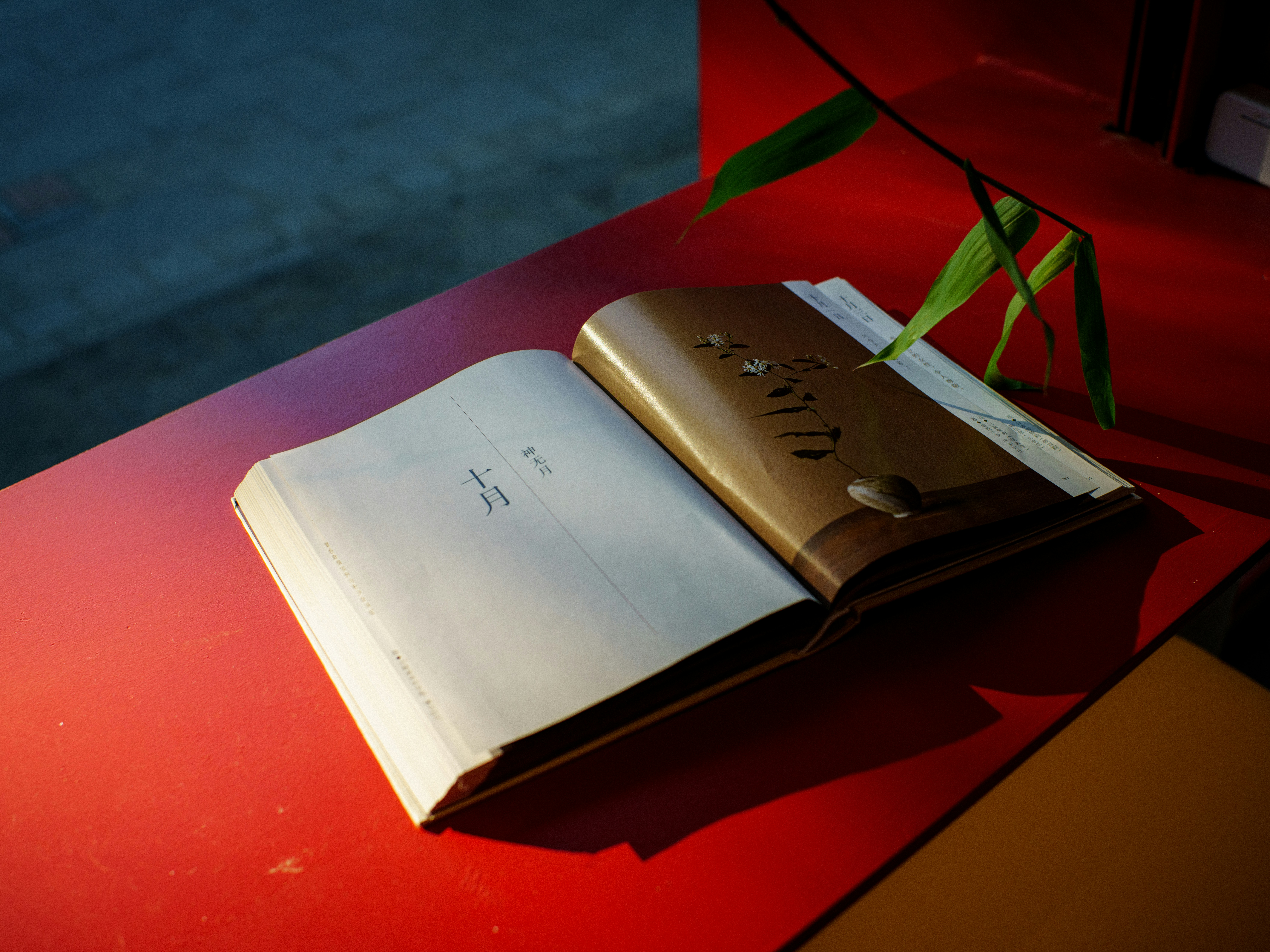 Open Book on a Red Table Under Soft Spotlight