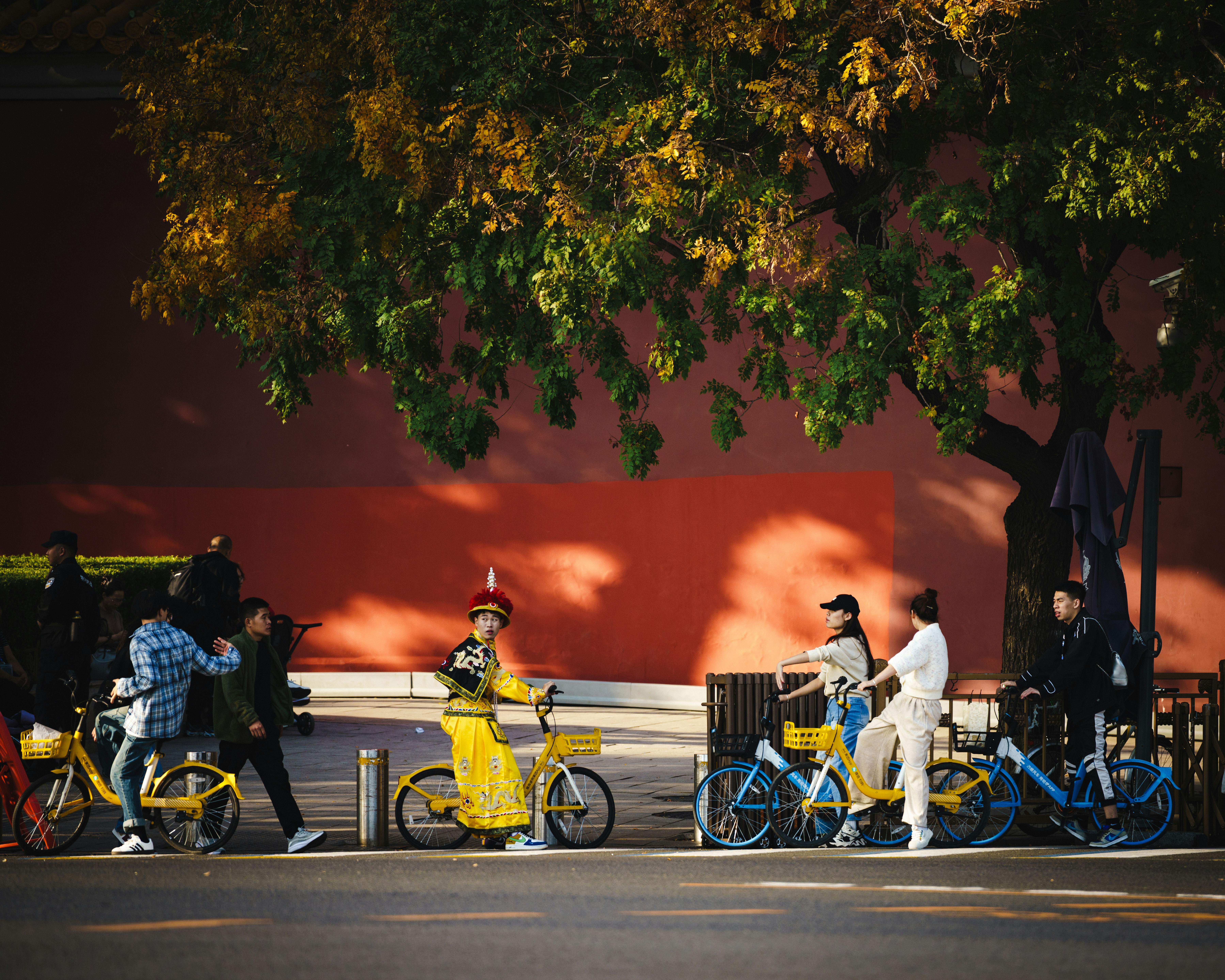 Yellow Bicycle Parade under City Shade