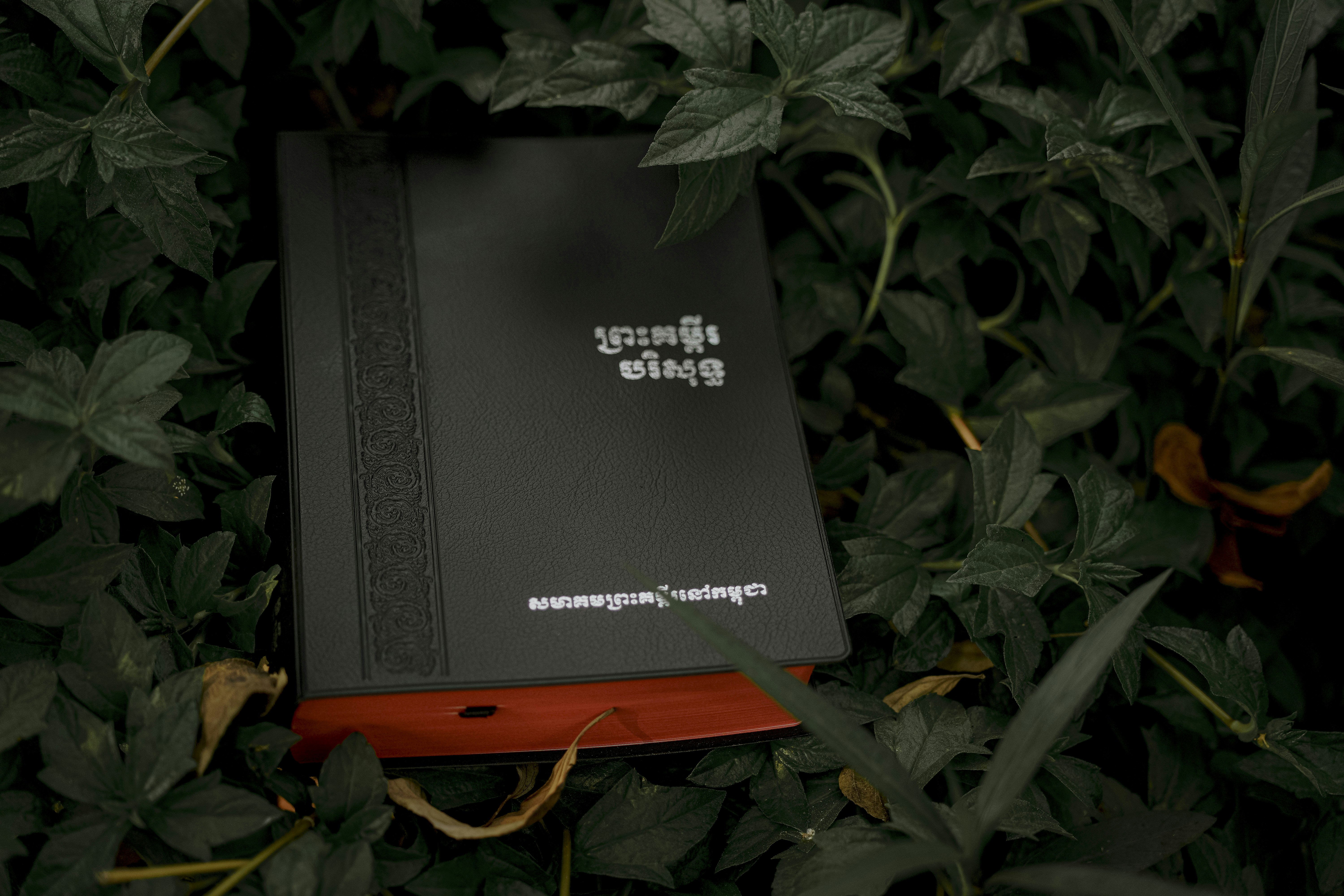 Dark Notebook Among Leaves: A Hidden Message in the Greens