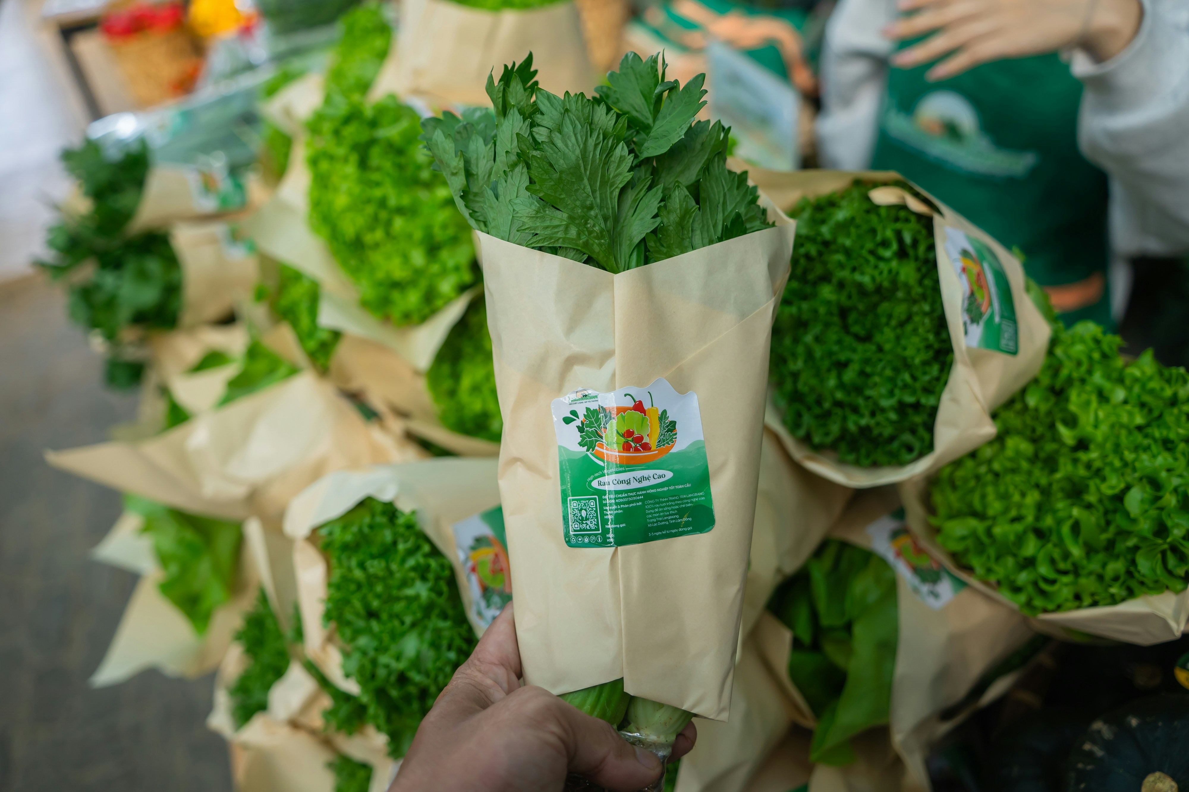 Fresh Parsley Handheld in a Market Stack