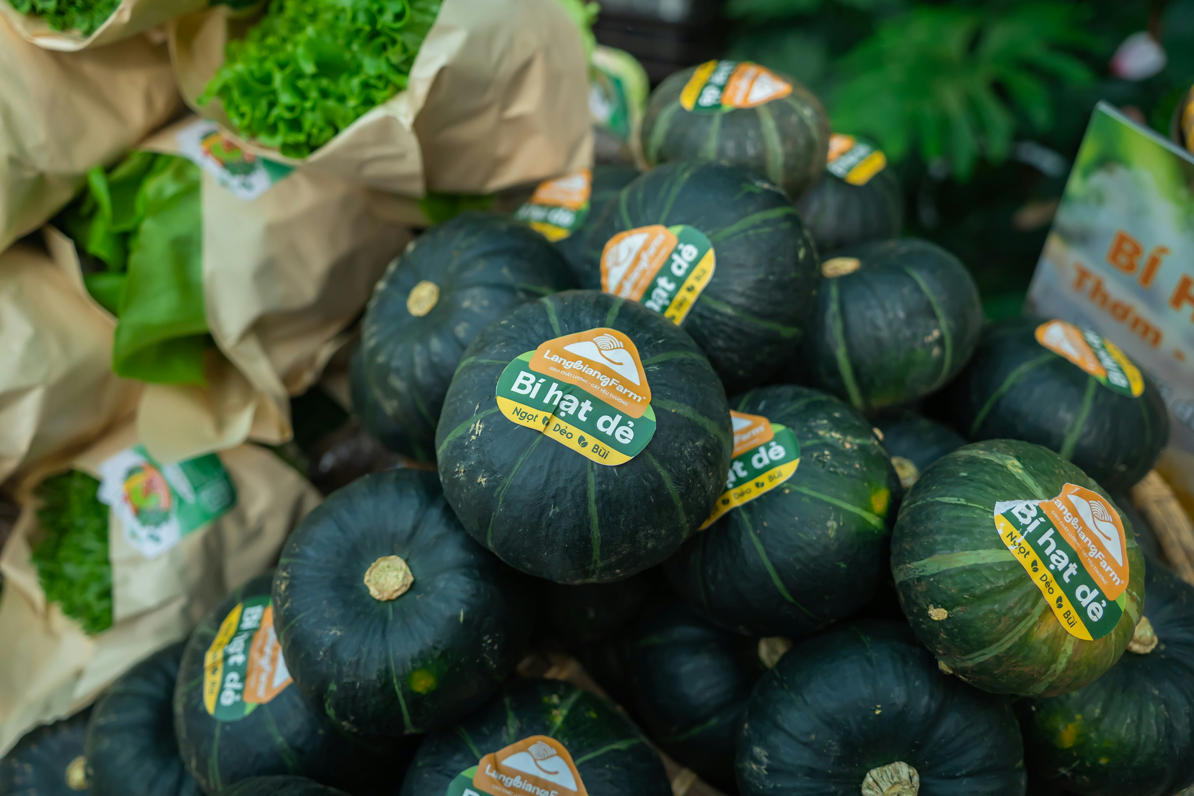 Market Stack of Petite Pumpkins with Labels