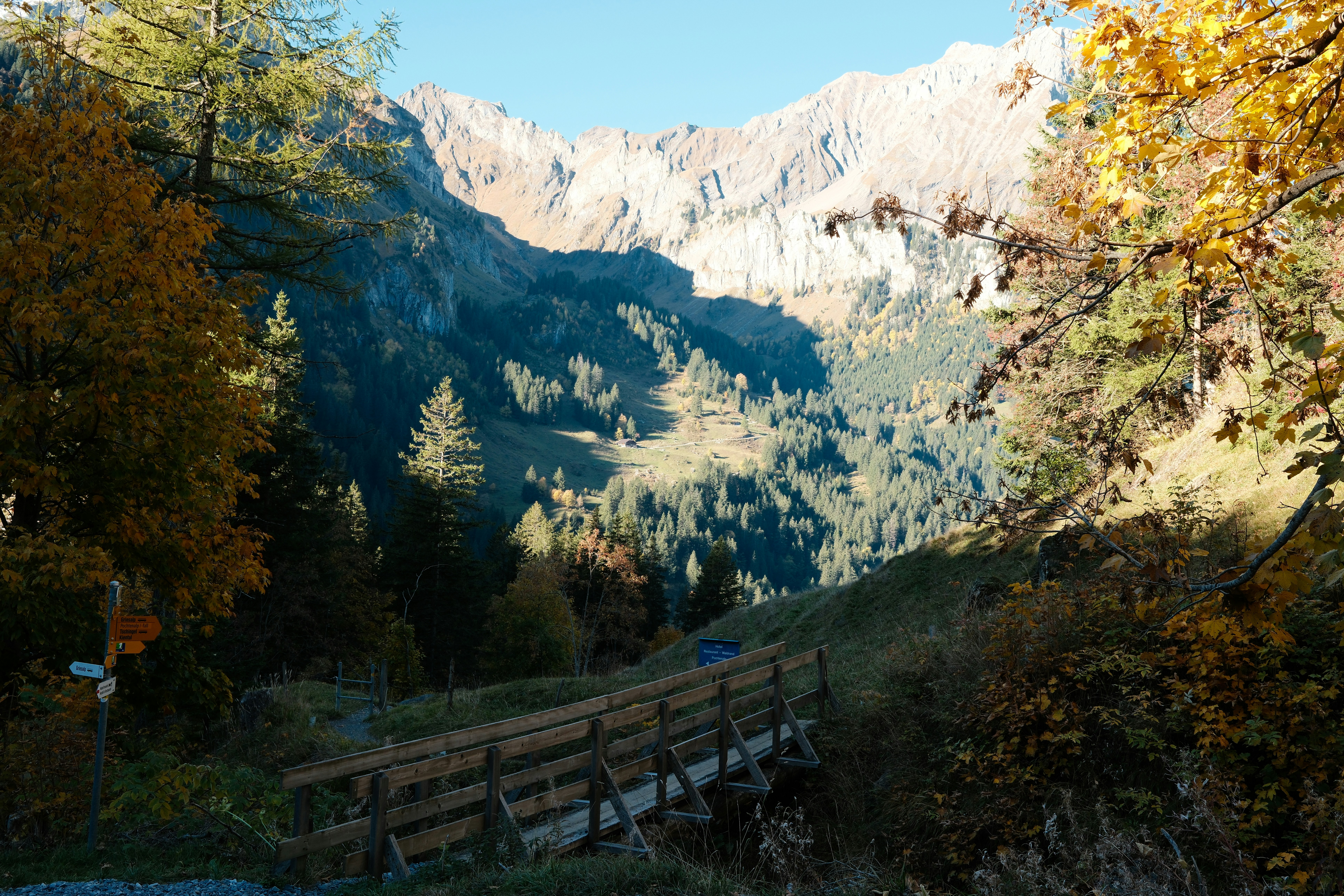 Autumn Valley Overlook: Sunlit Peaks Beyond a Wooden Bridge