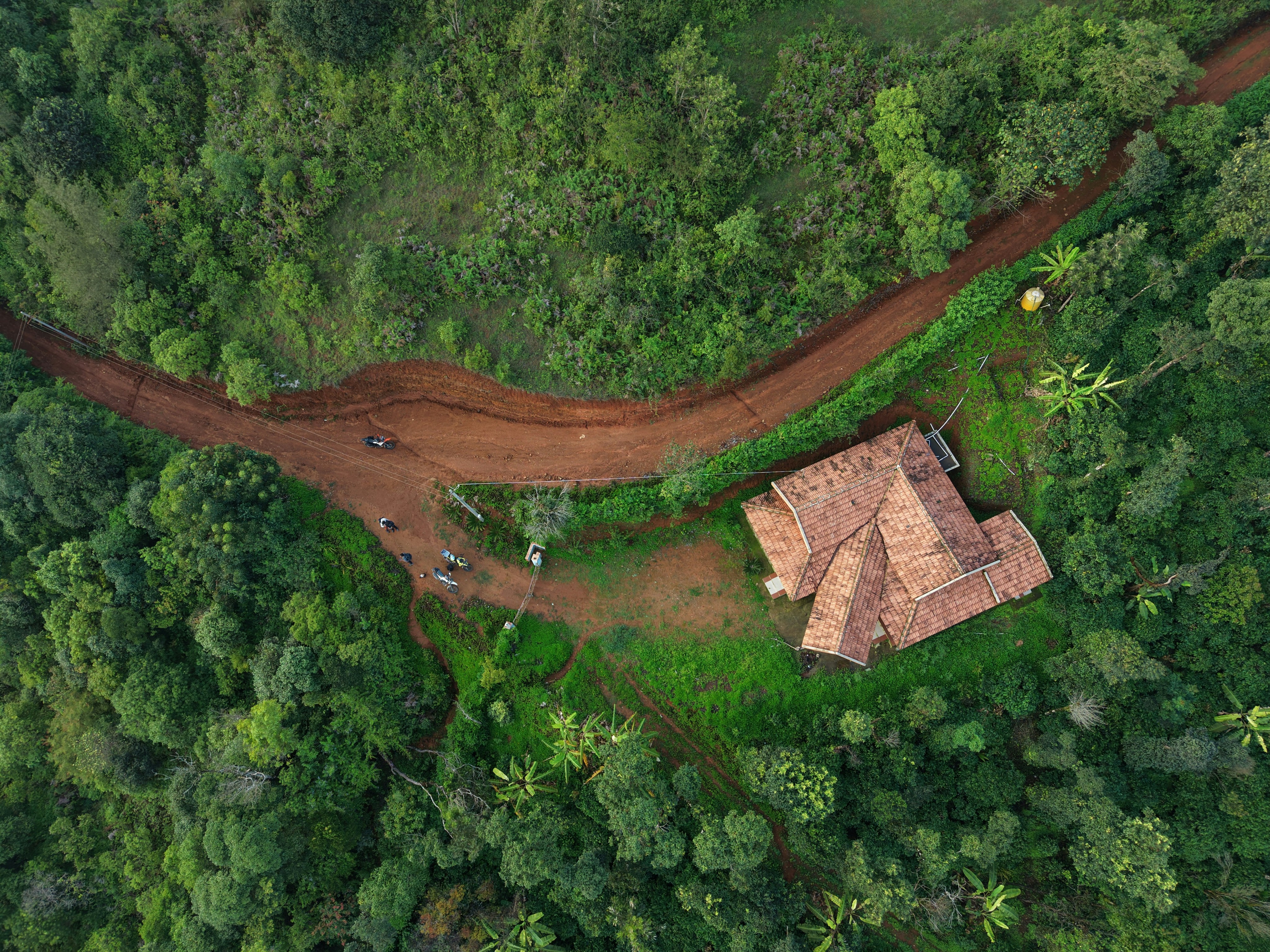 Lush hillside retreat: a winding dirt road leads to a rustic cabin