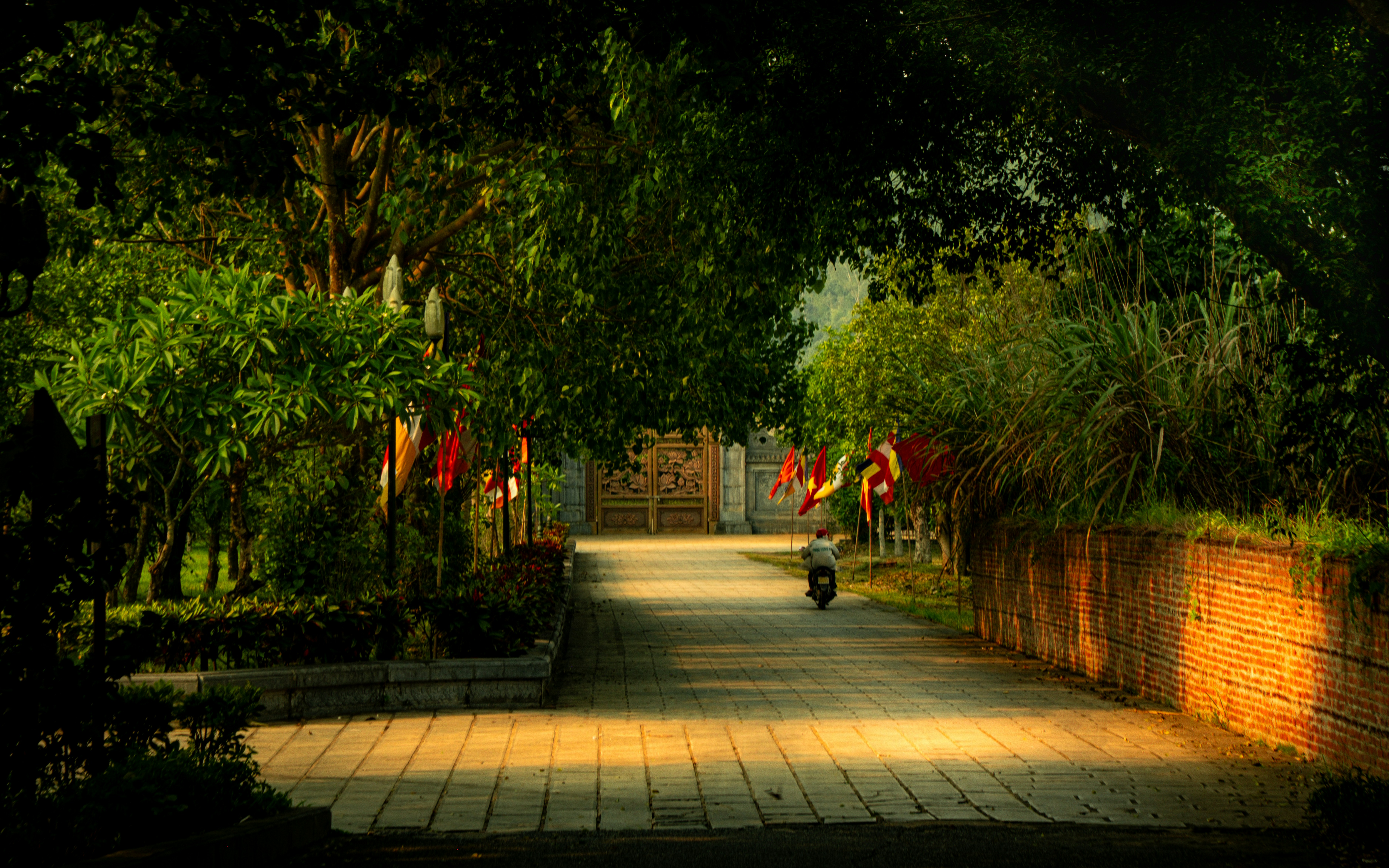 Sunlit Avenue: Lanterns Guiding the Quiet Path