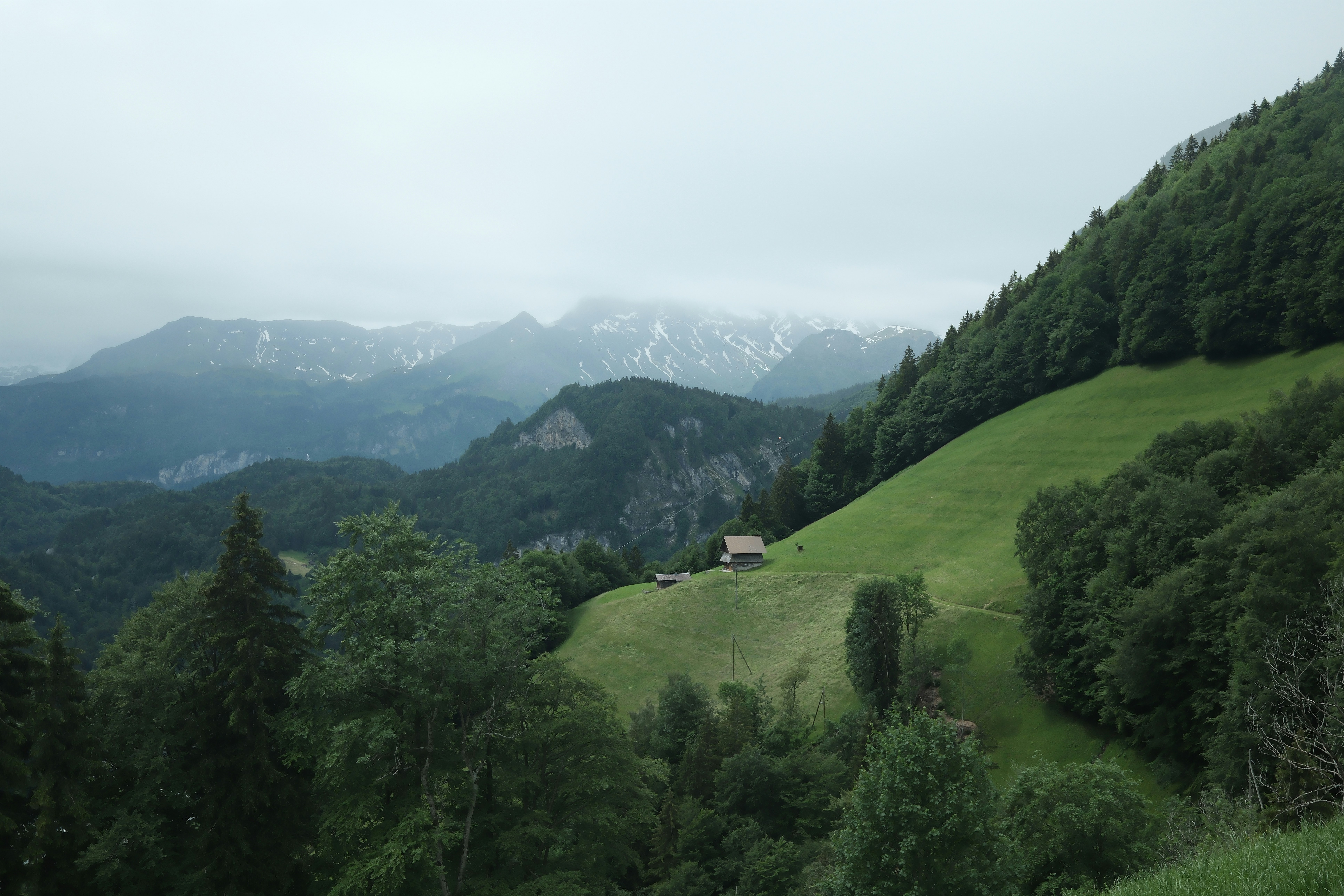 A Quiet Alpine Farmstead Nestled Between Meadow and Forest