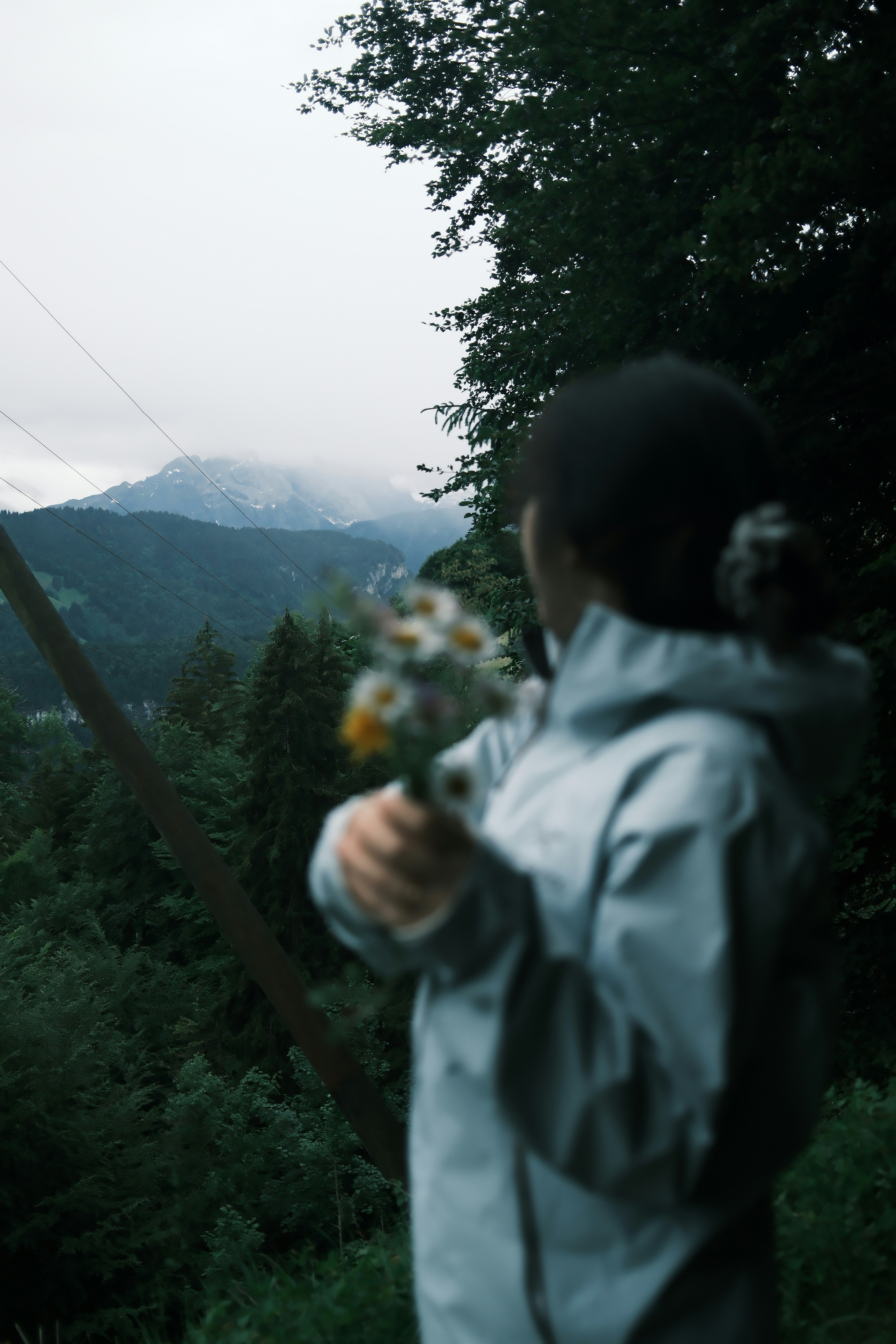 Blossoms and Backdrop: A Hazy Trailside Moment