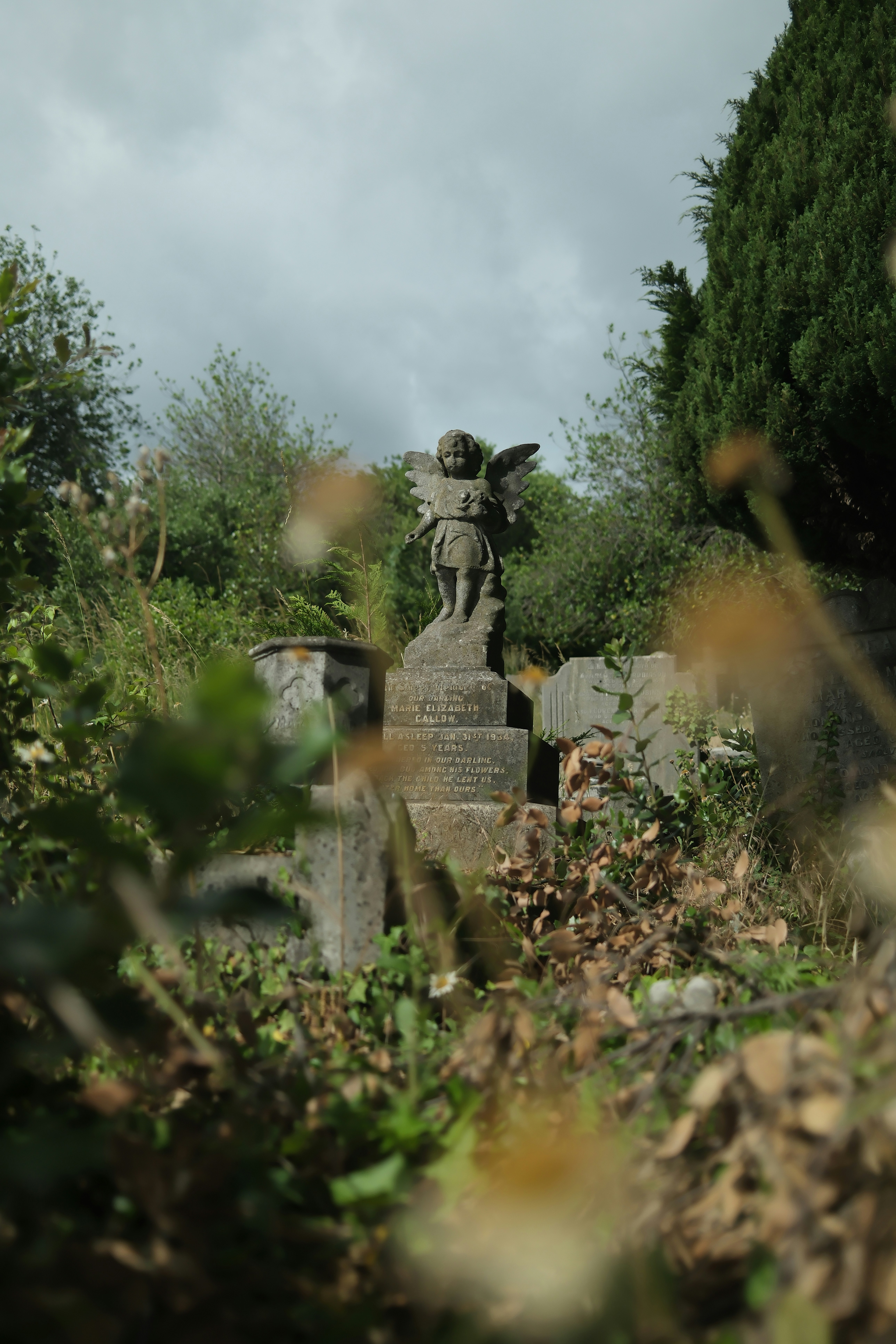 Angel of the Overgrown Graveyard