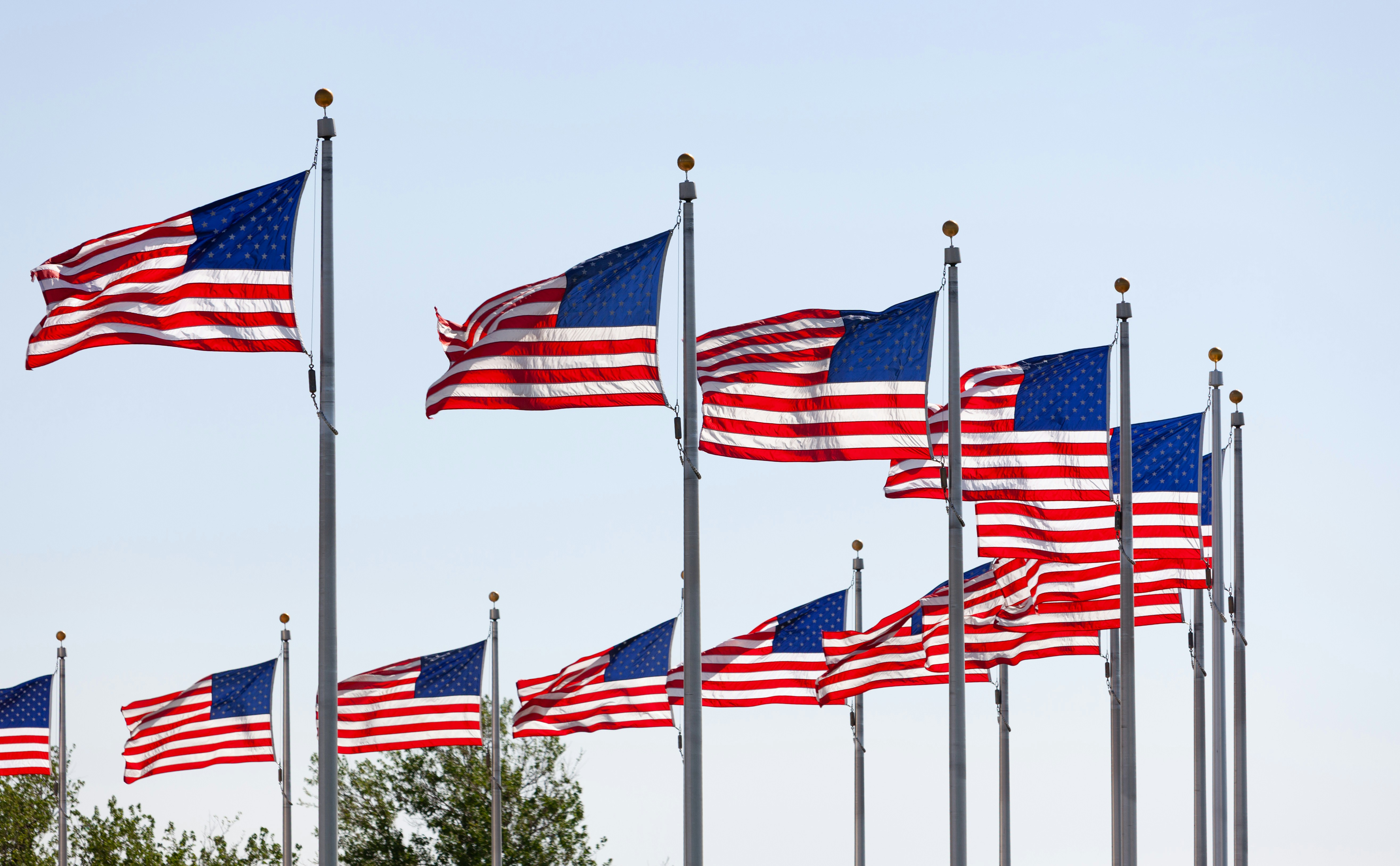 Flagged Echoes: A Row of American Flags Against a Clear Sky