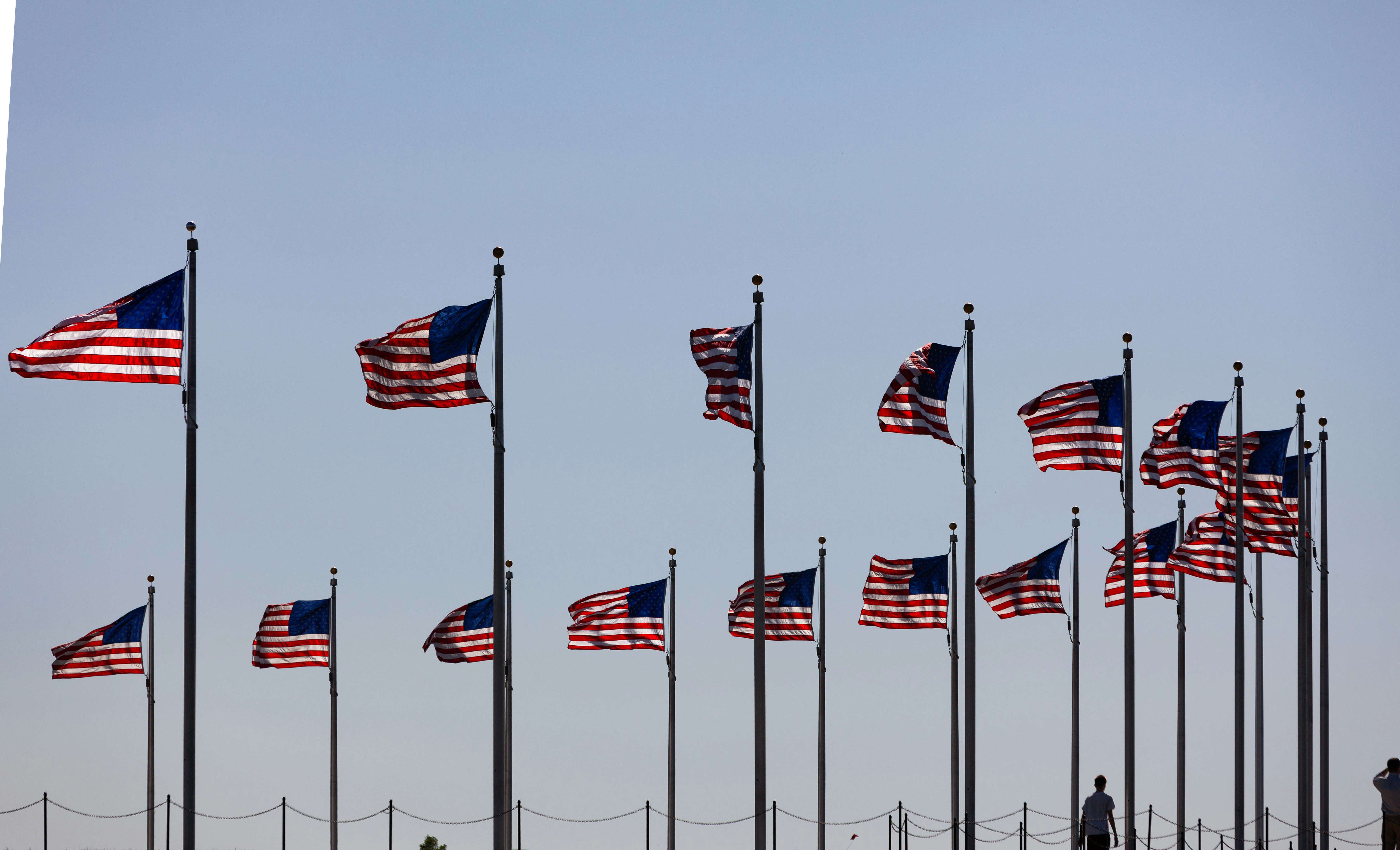A Fleet of Flags: Windward Rows and Quiet Sentinel Strides