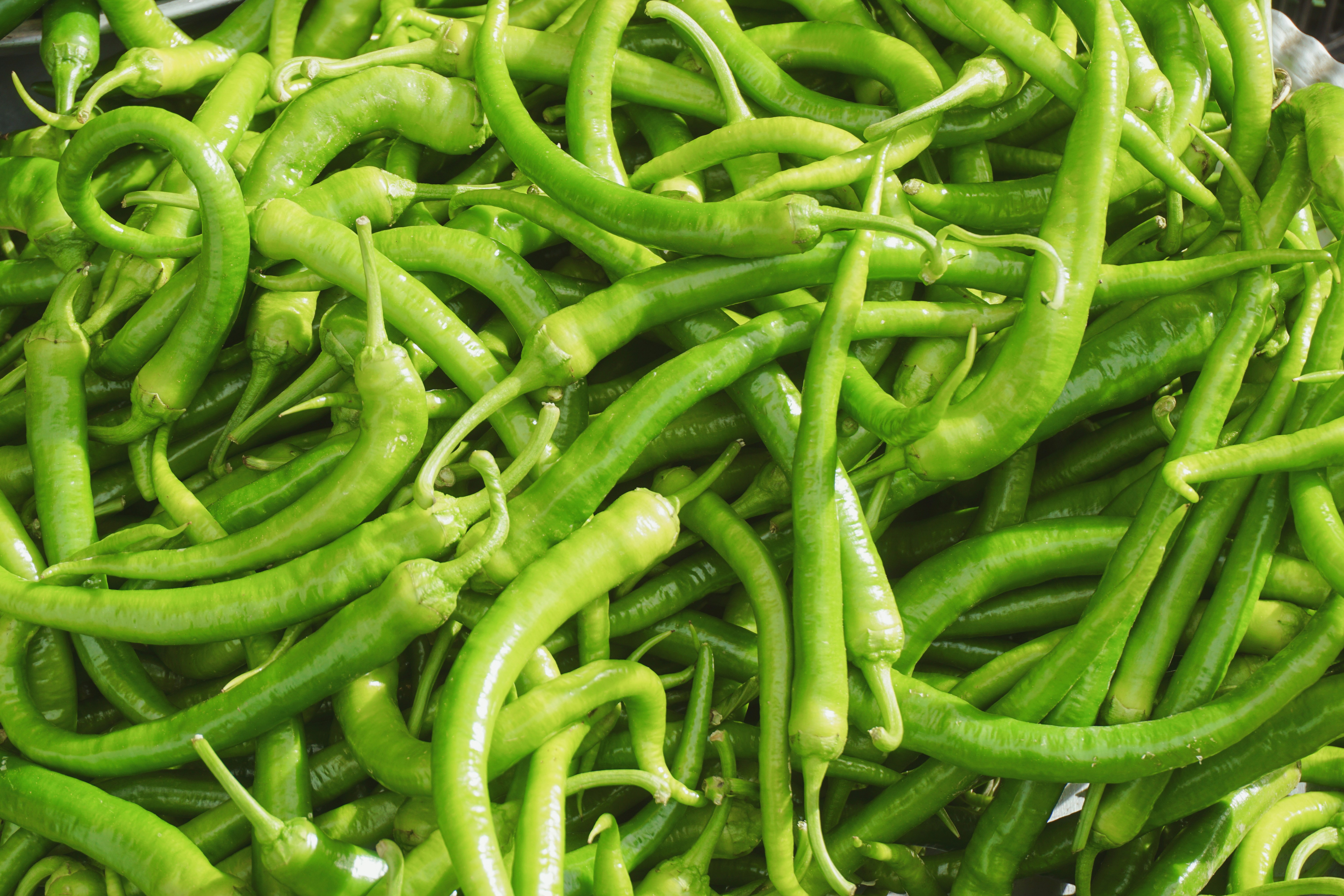 Verdant Sprawl: A Macro Mosaic of Fresh Green Chilies