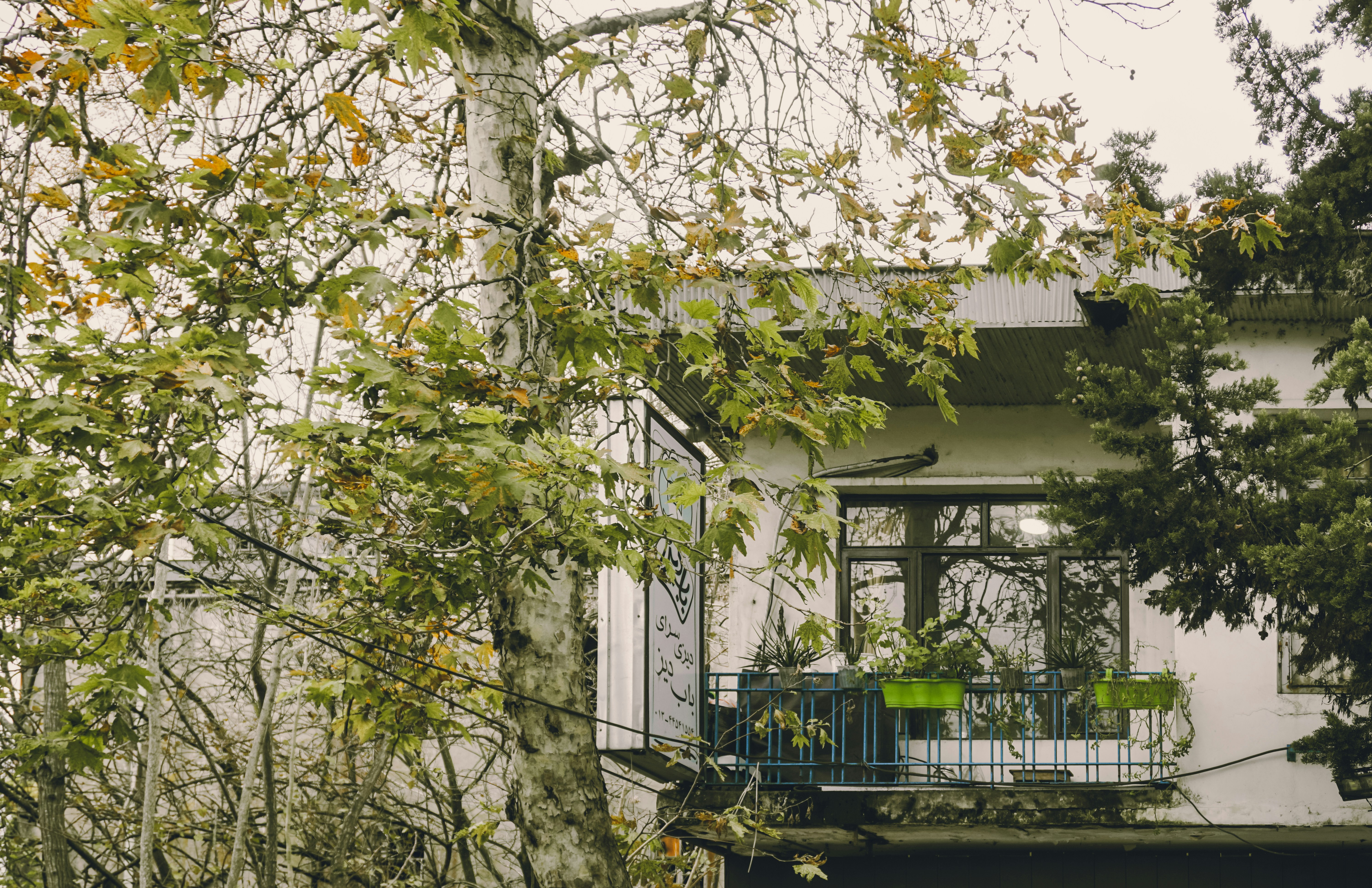 Balcony Amid Autumn Foliage