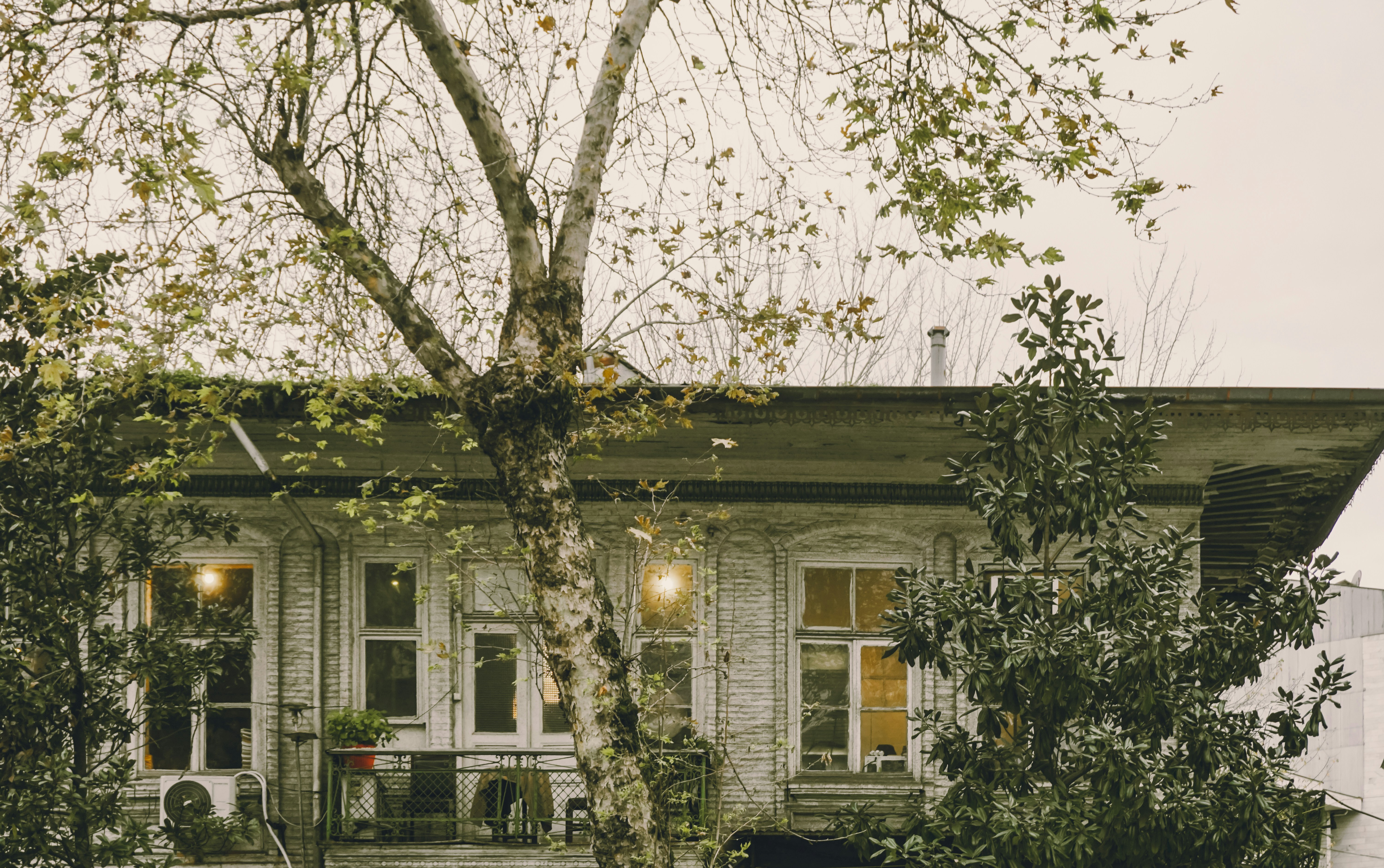 Quiet Front Porch of an Aged House with Overgrown Garden