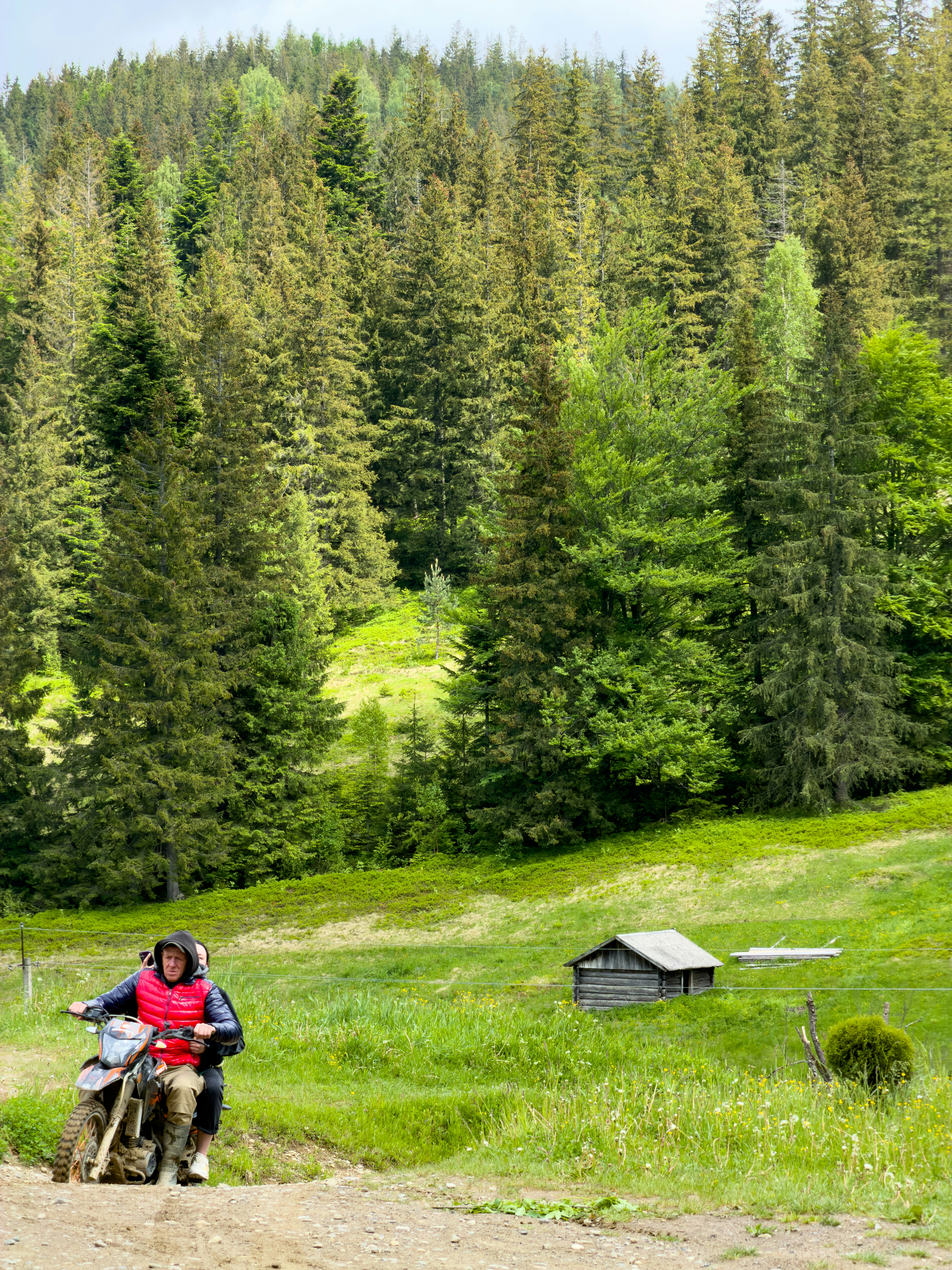 Motorcycle Traveller at the Edge of a Alpine Meadow