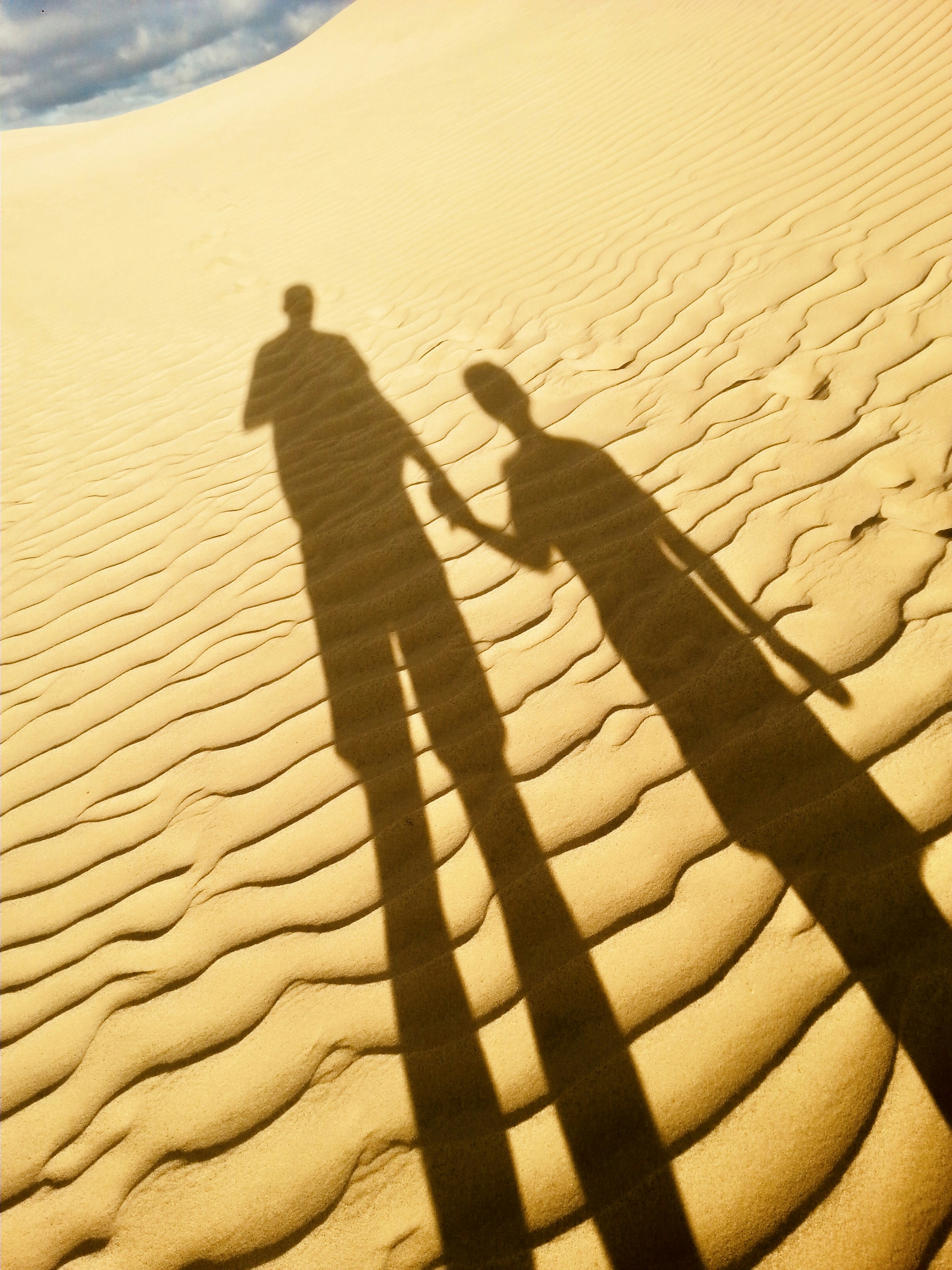 Shadows of two people extend across wind-sculpted sand in a sunlit desert, creating a dramatic, elongated foreground.