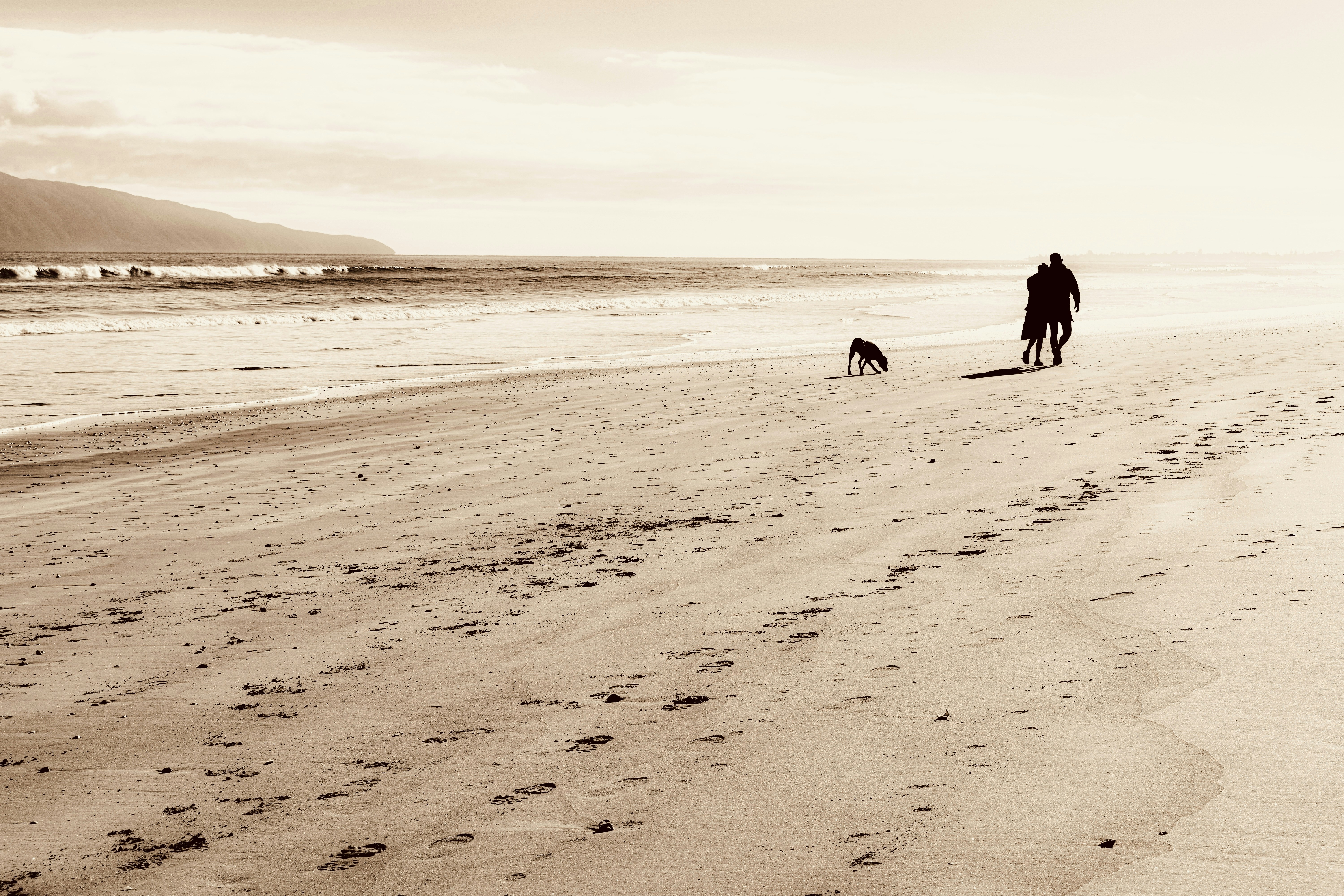 Lonely Beach Walk: A Silhouette and a Dog on the Horizon