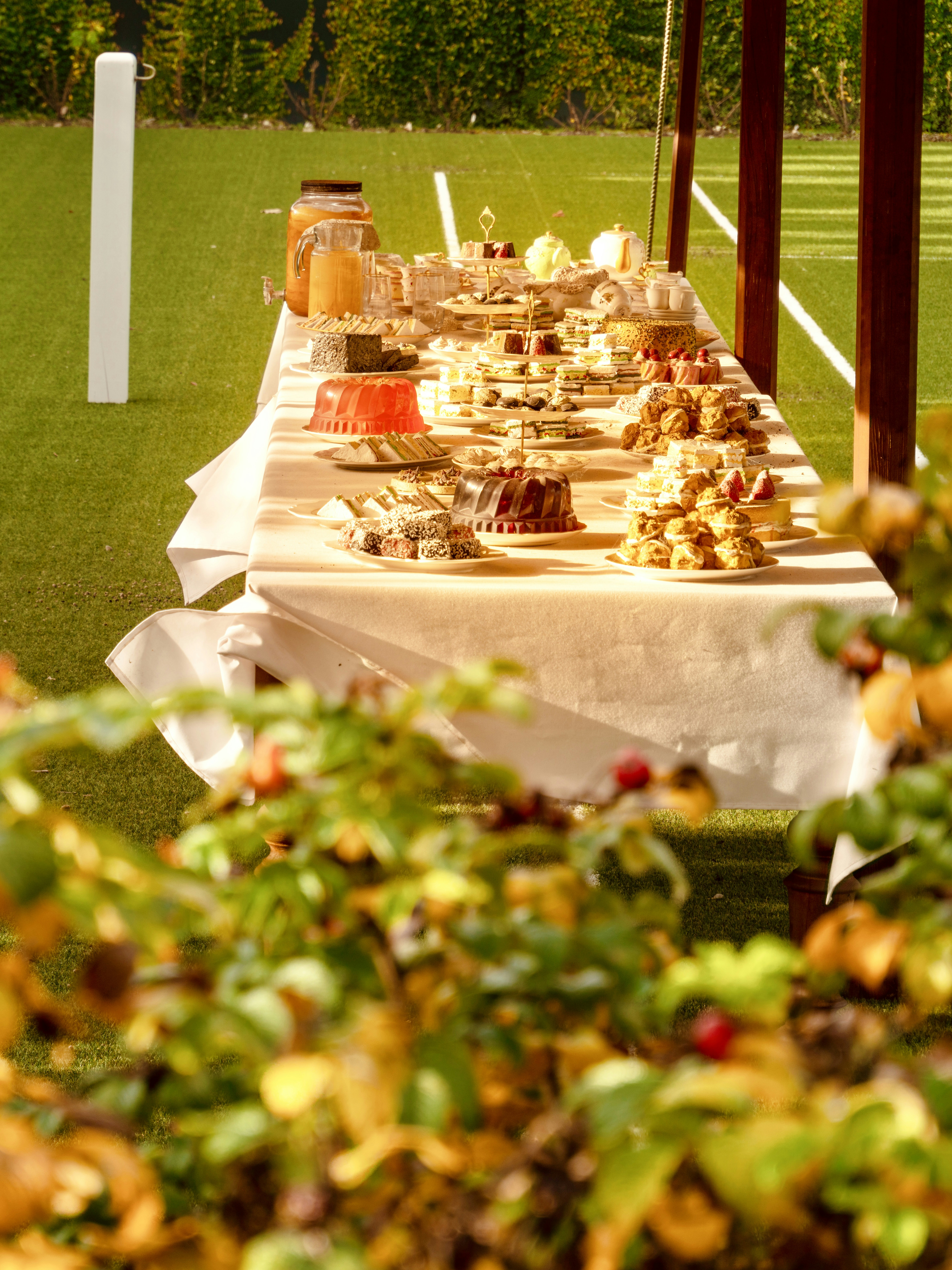 Harvest Table under a Canopy: An Outdoor Feast of Desserts