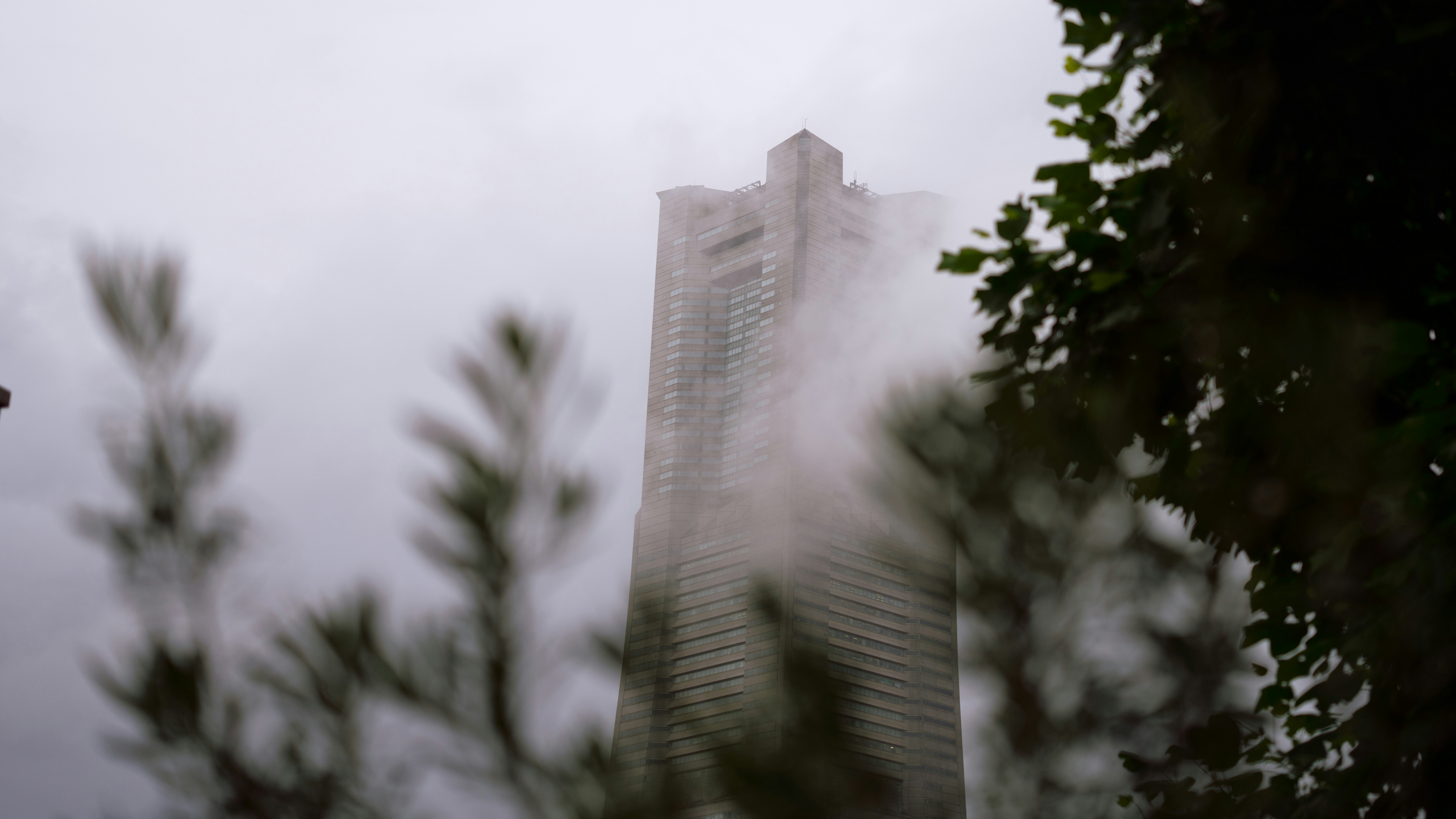 Mist-Clad Skyweight: A Tower Emerging Through Leaves