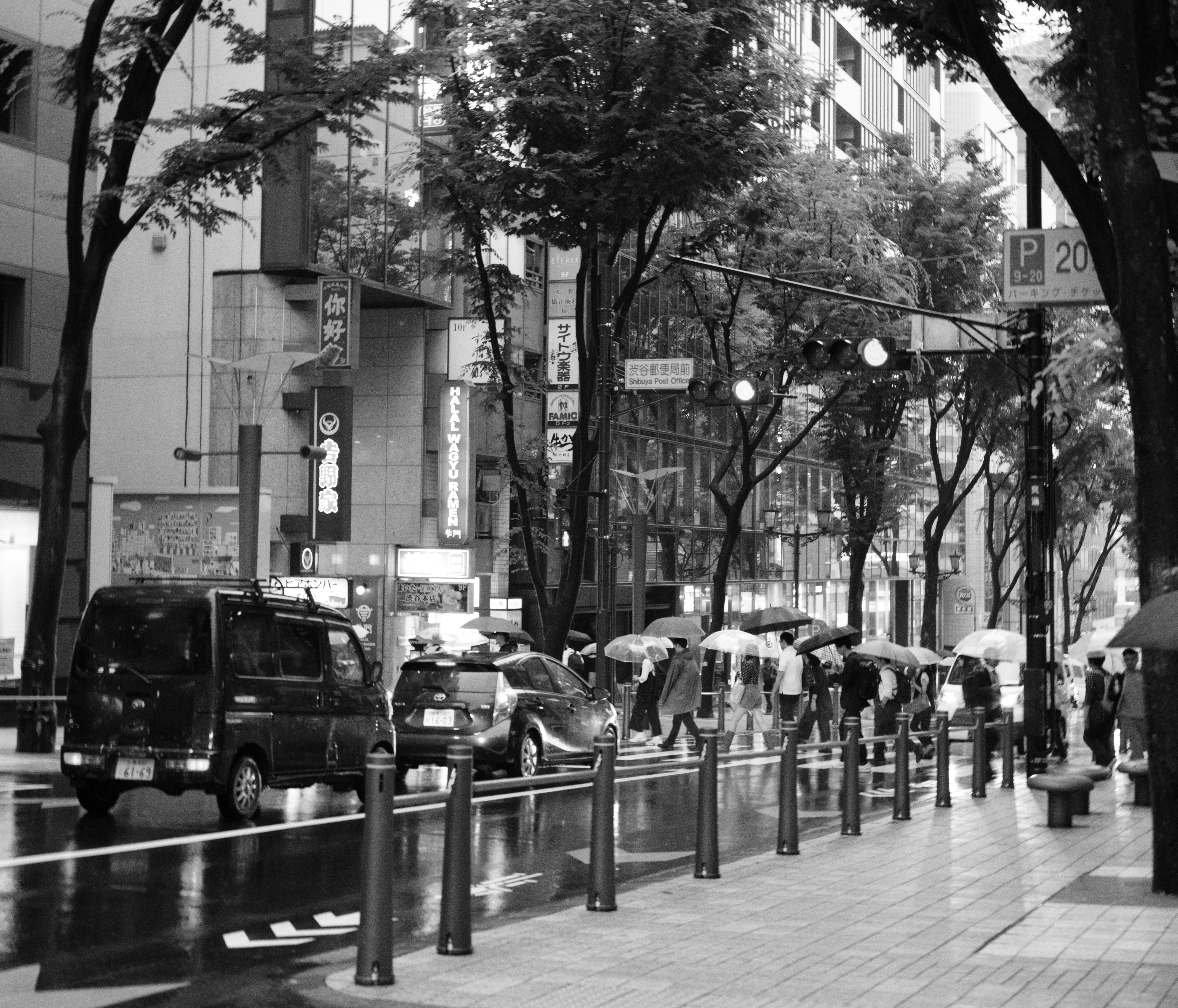 Rainy City Pedestrians Under Umbrella Arc