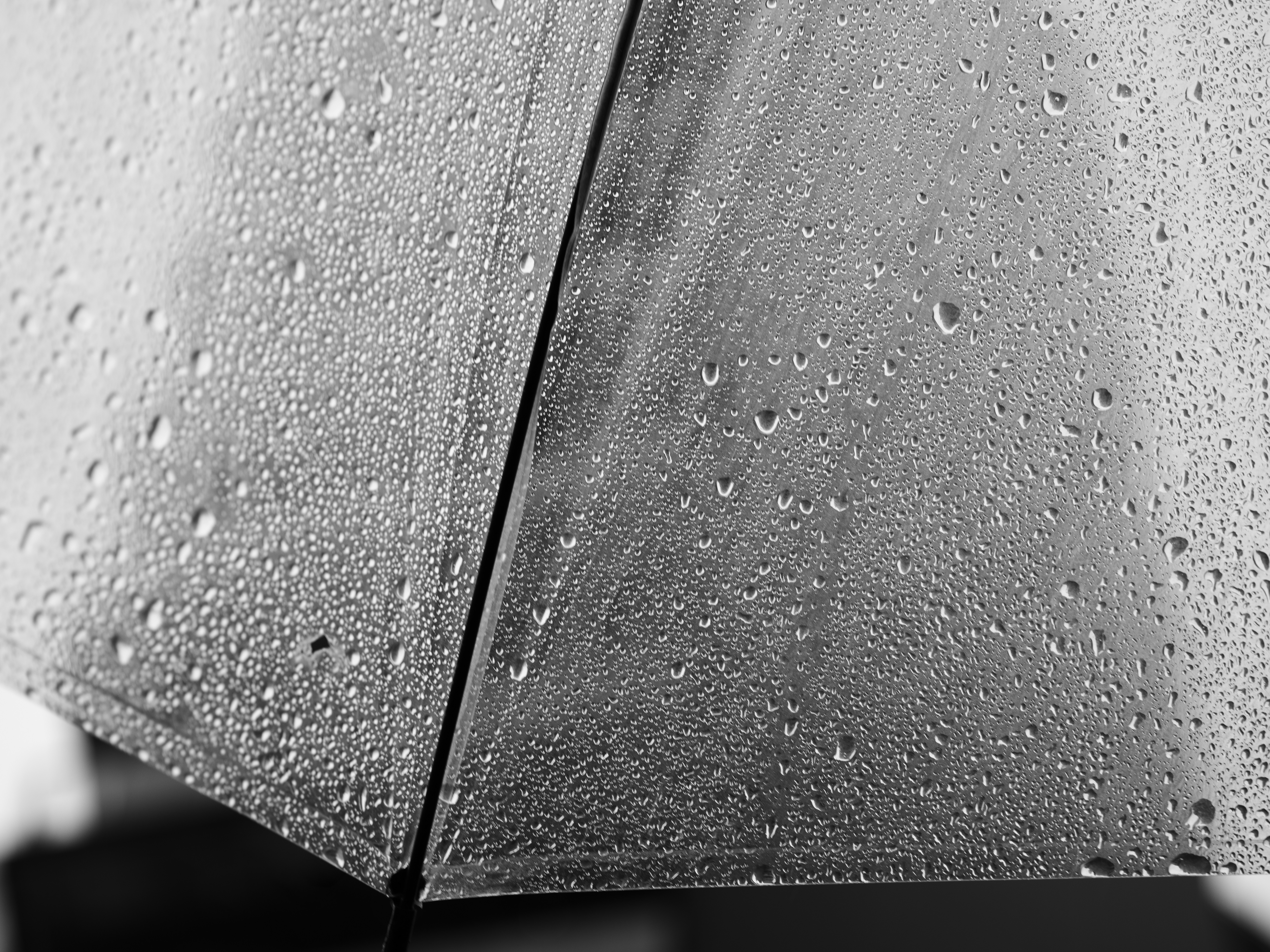 Dew-Kissed Panel: A Close-Up on Rain-Slick Aluminum Edges
