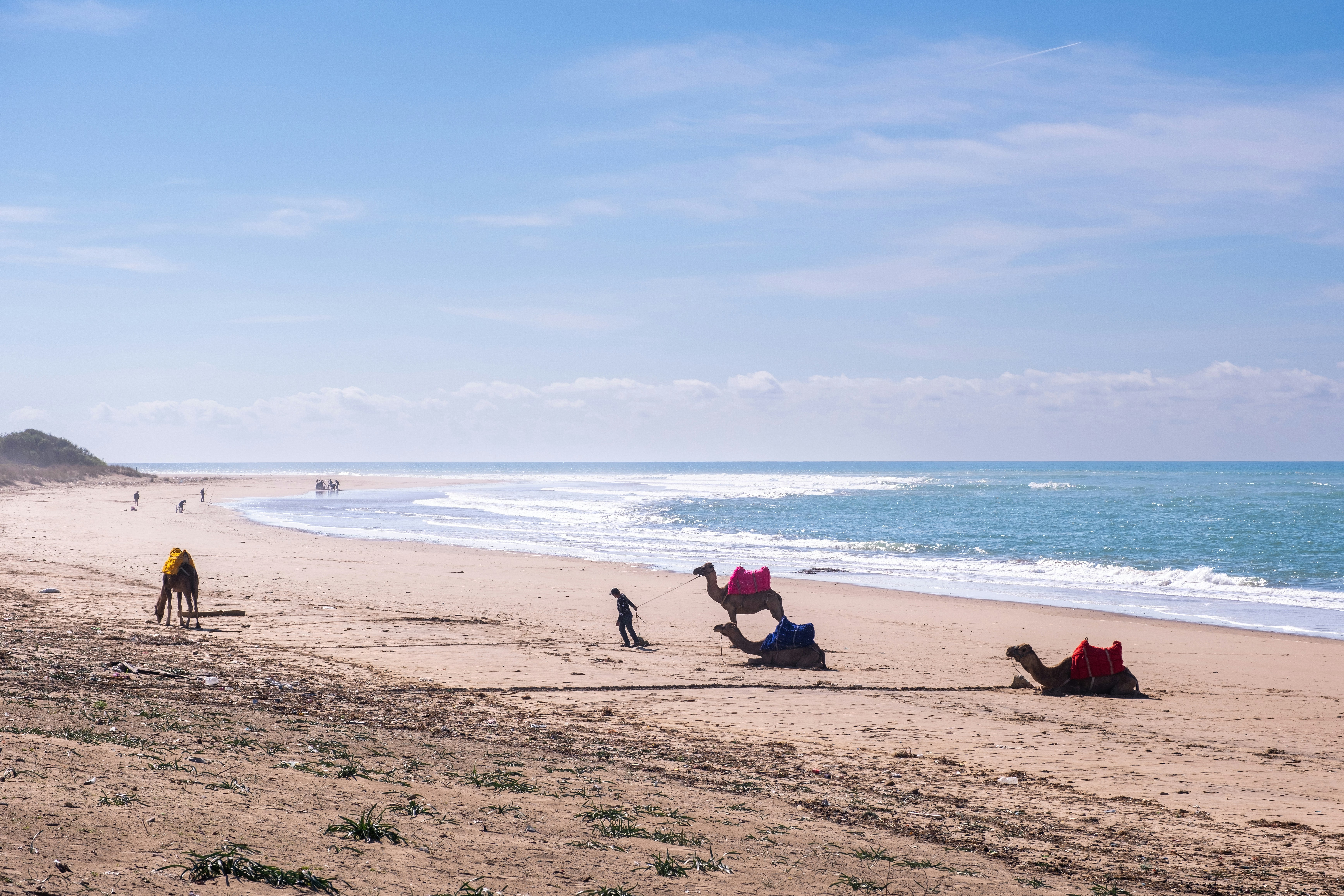 Sunlit Beach Scene: Families and Chairs by the Quiet Surf