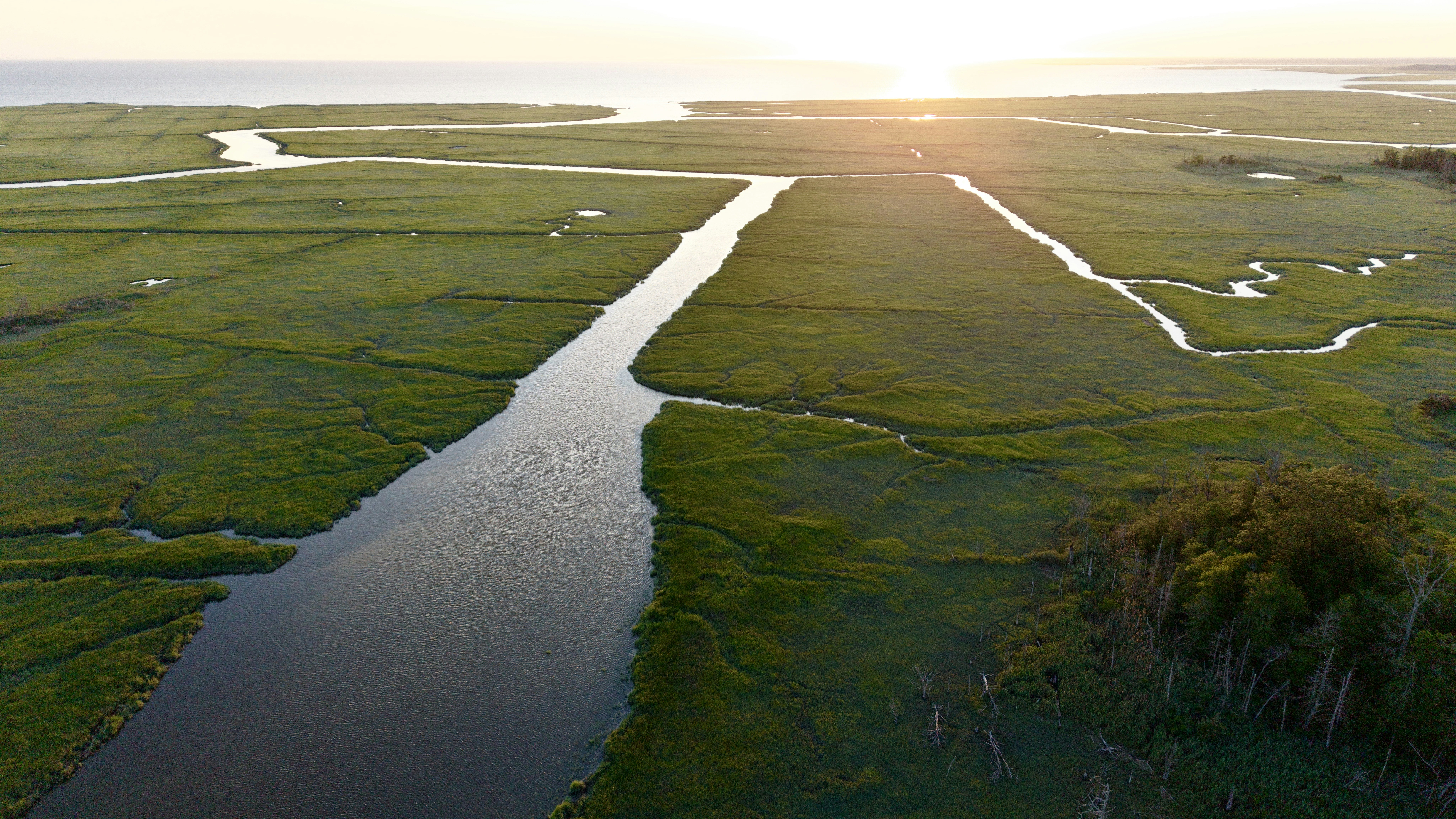 Sunlit Confluence: Aerial View over meandering tidal channels