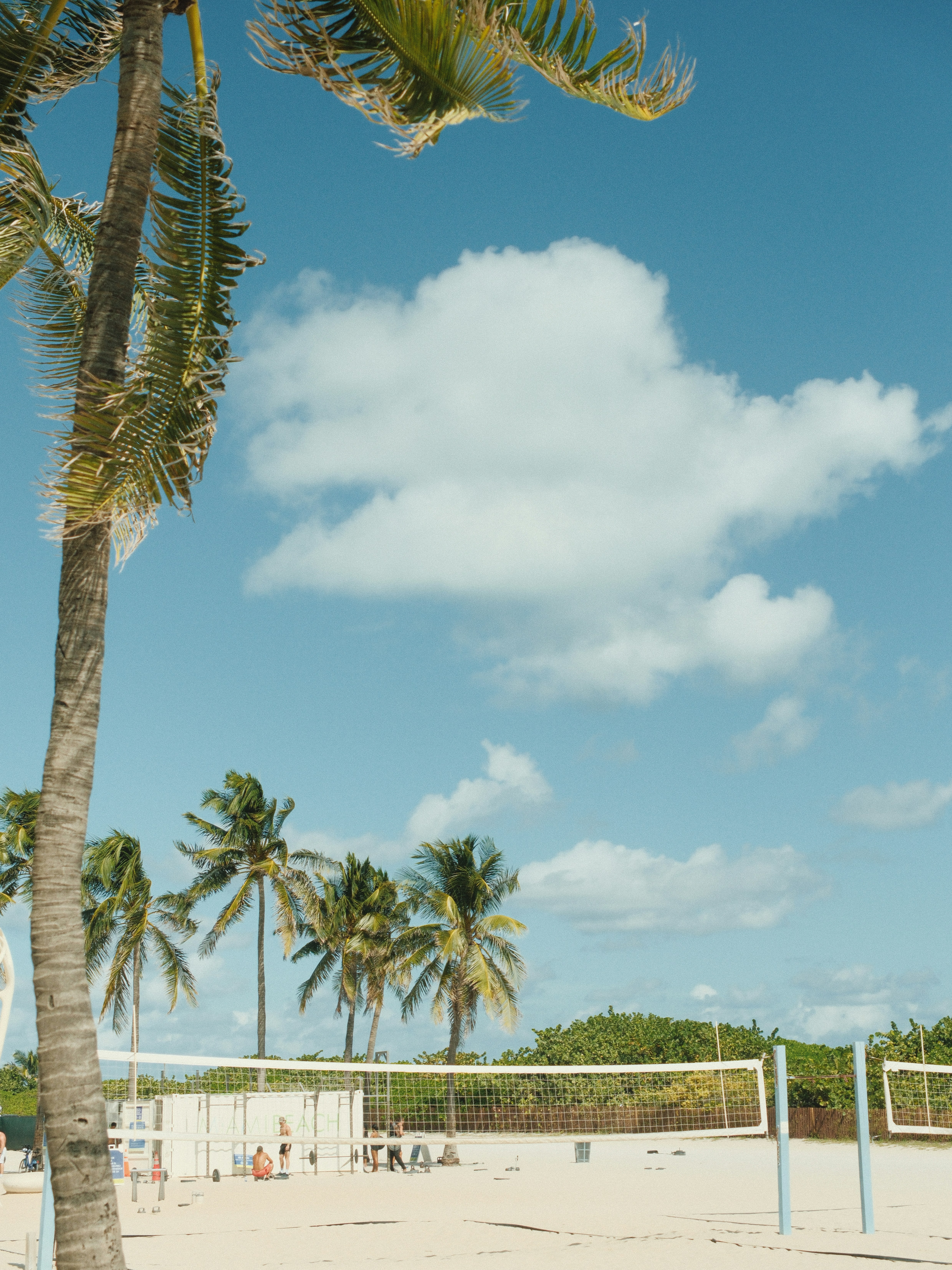 Palm-draped court under a bright Caribbean sky