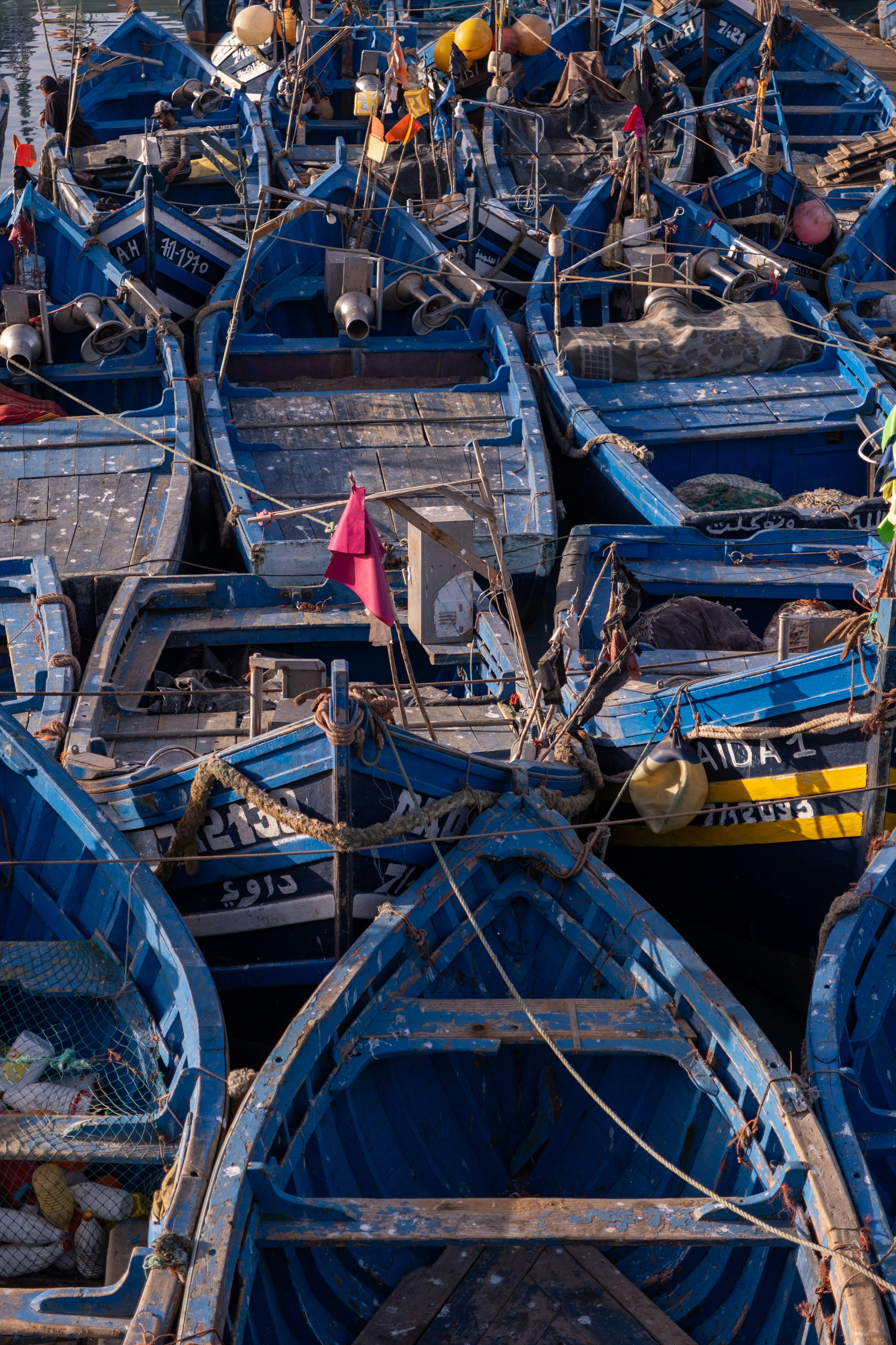 Sea of Blue Boats: A Tangle of Dories and Ropes