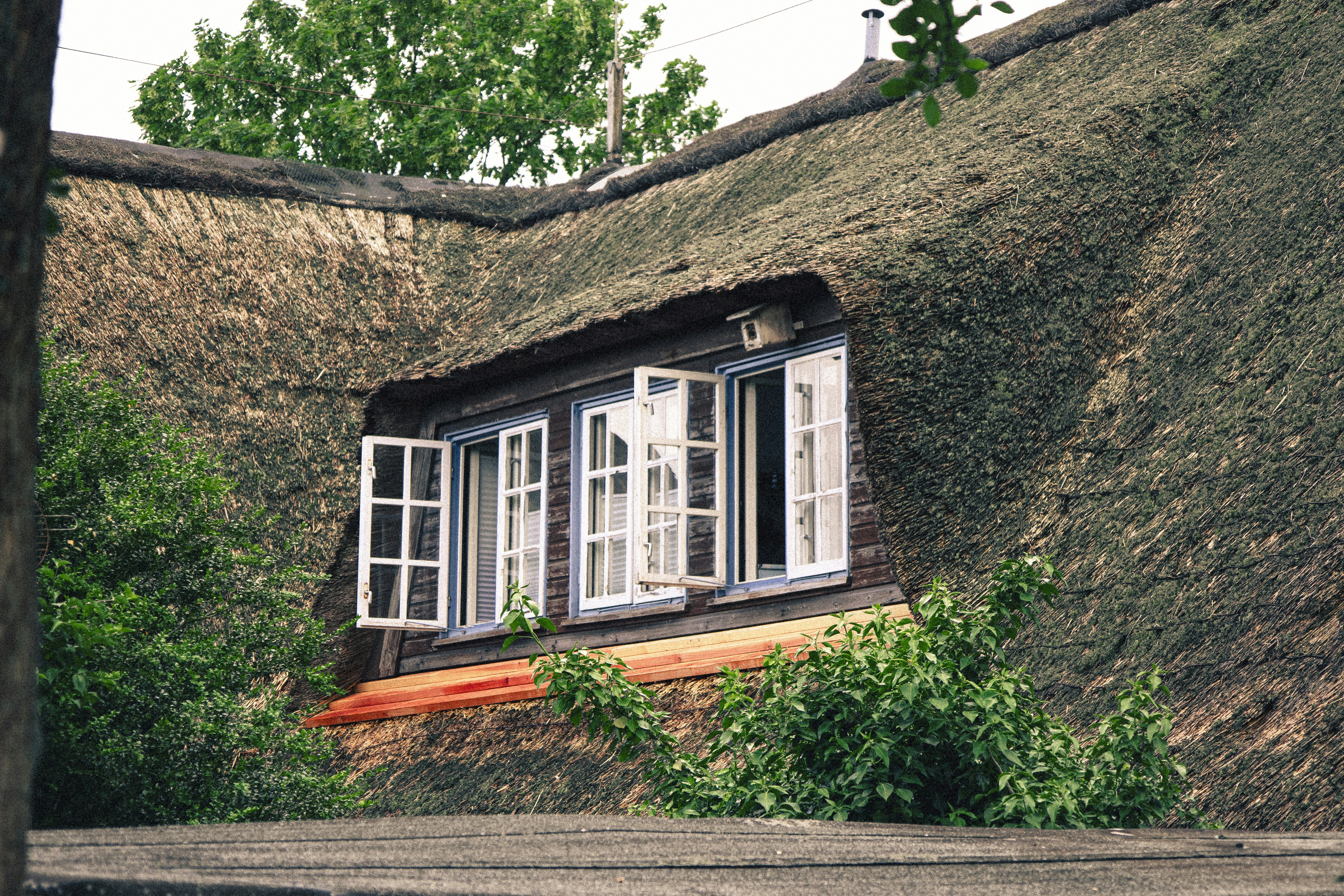 Housed in a Green Roof: A Dormer Window Opens to Spring