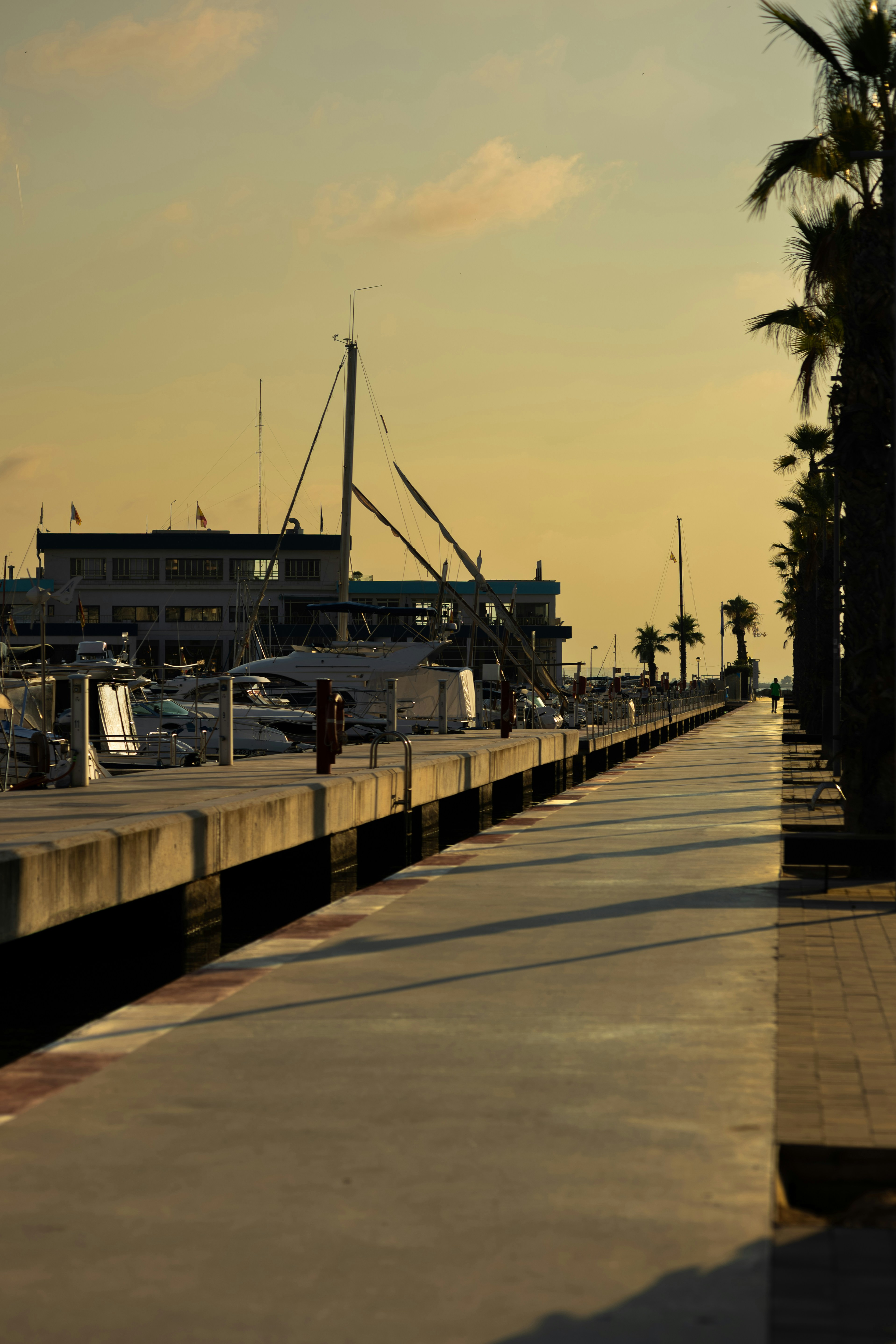 Golden Hour Promenade by the Marina