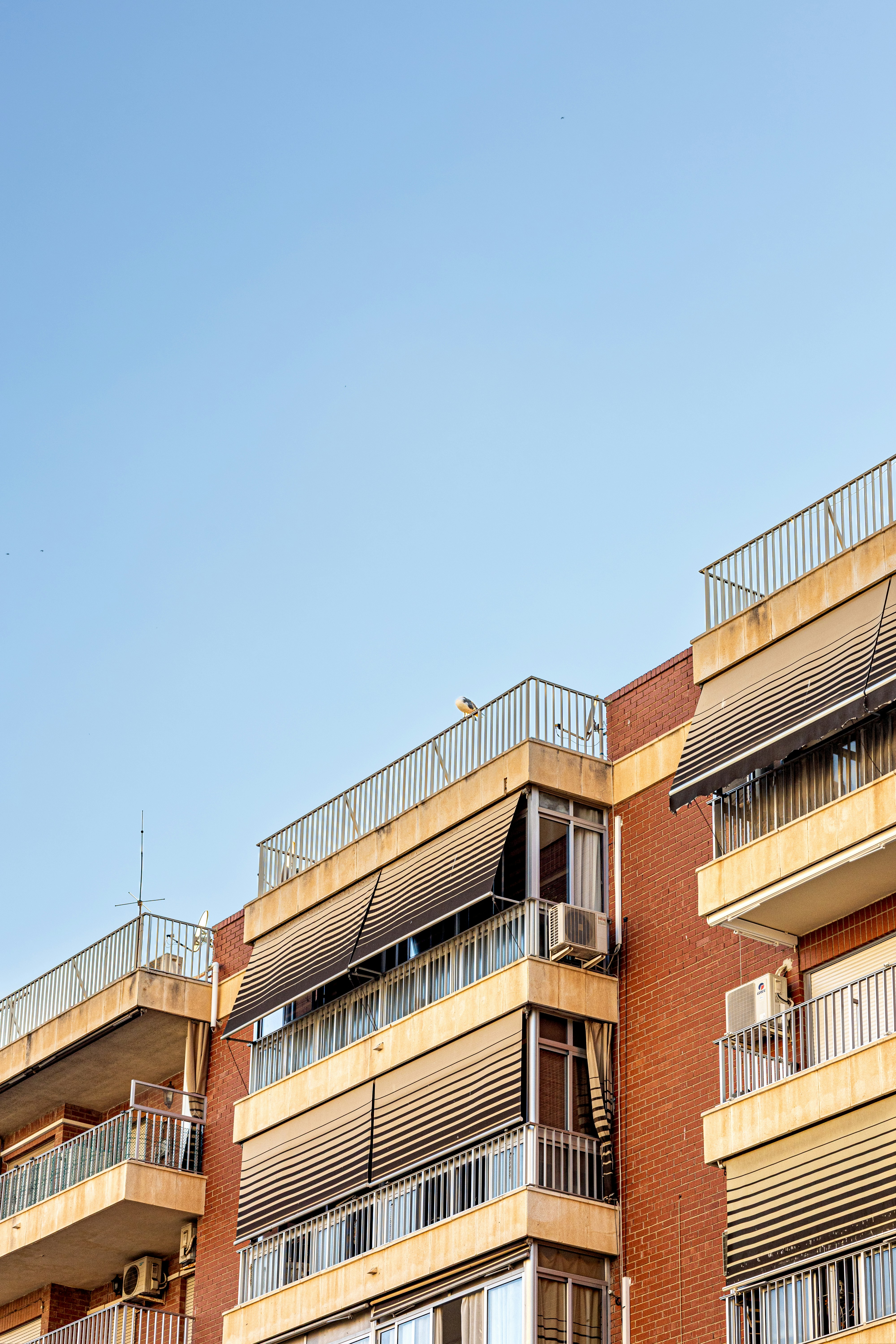 Balancer’s Edge: Rooftop Vantage on a Bright City Day