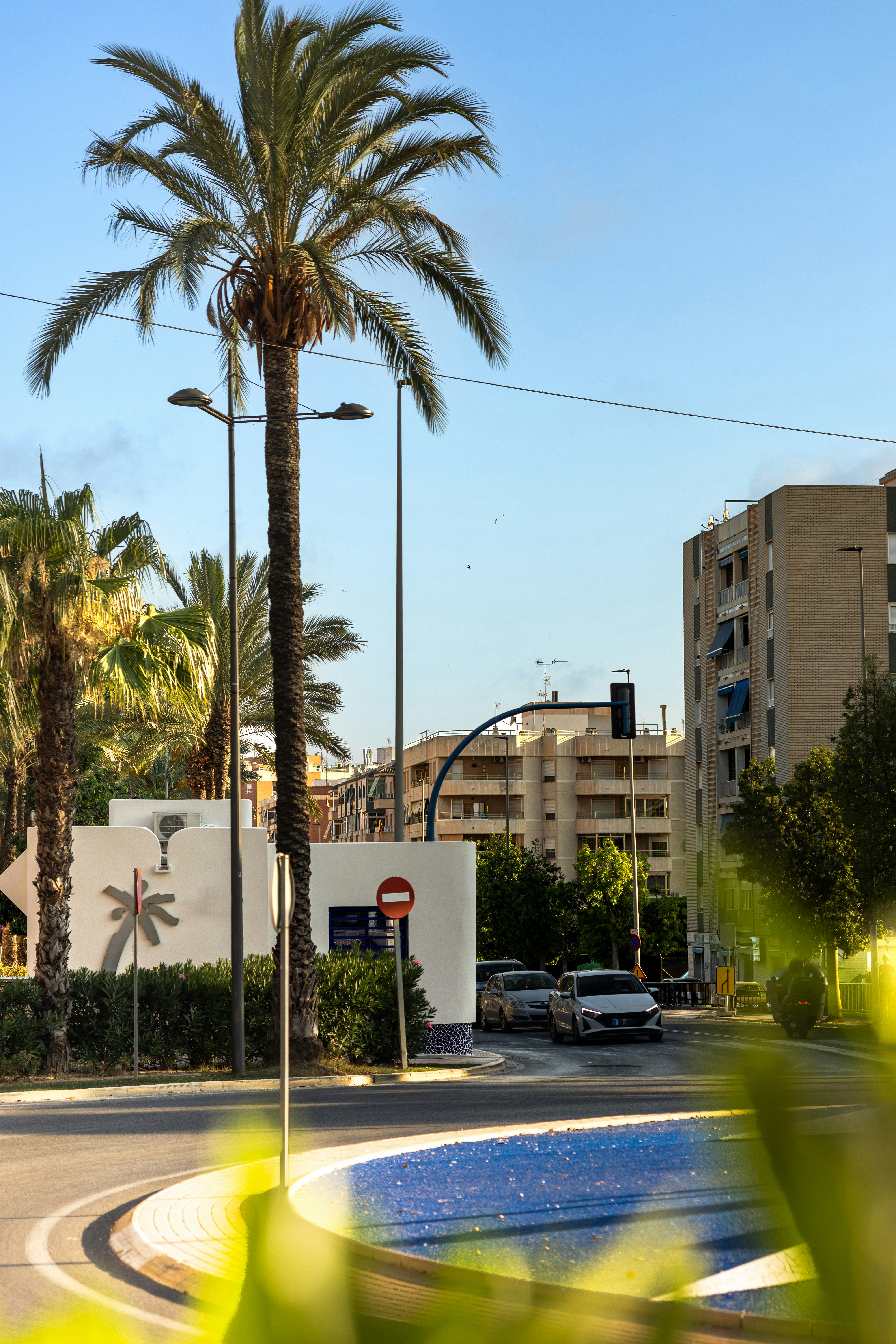 Palm Shade Over a Sunlit Street