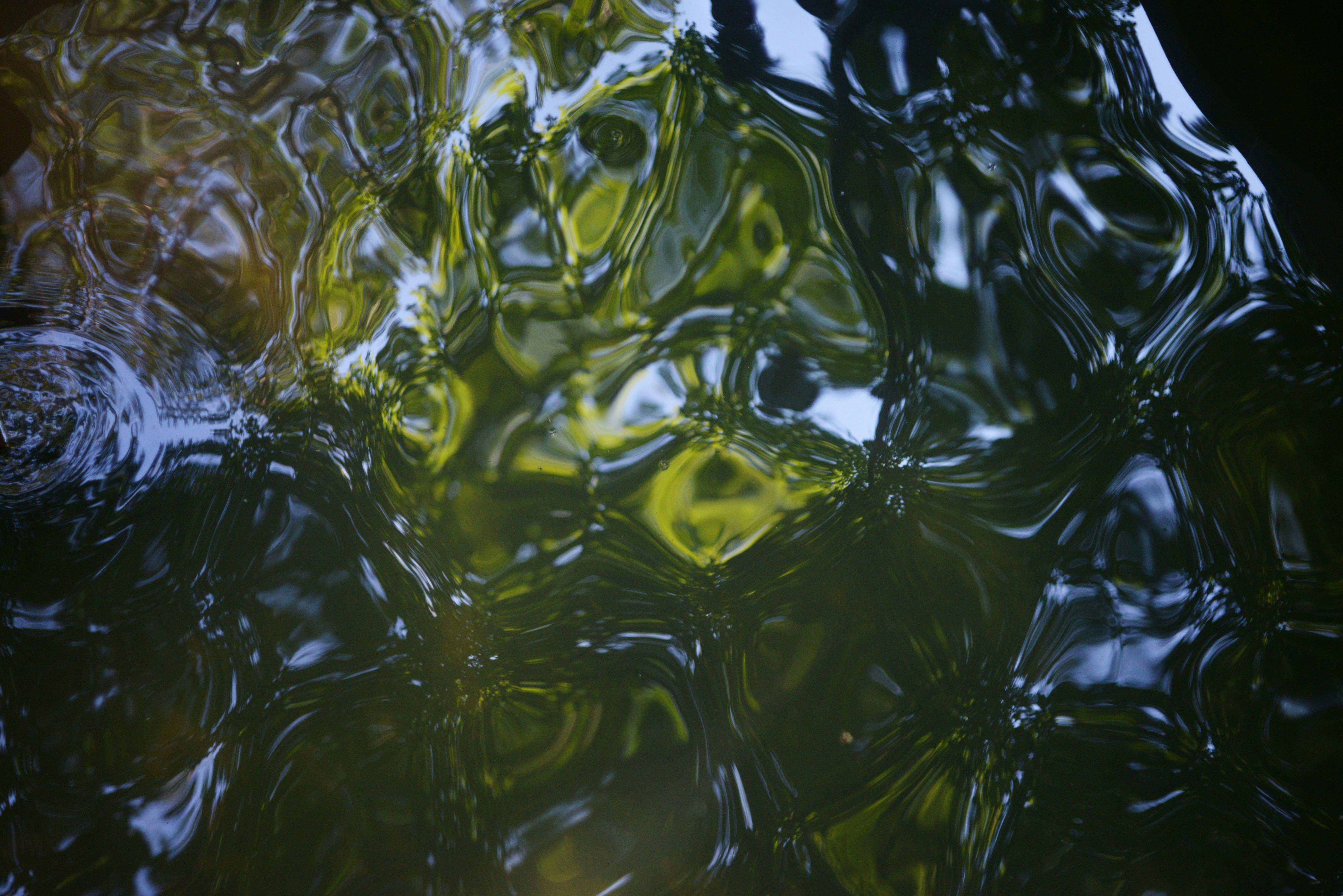 Liquid Echoes: Abstract Reflections in Morning Light