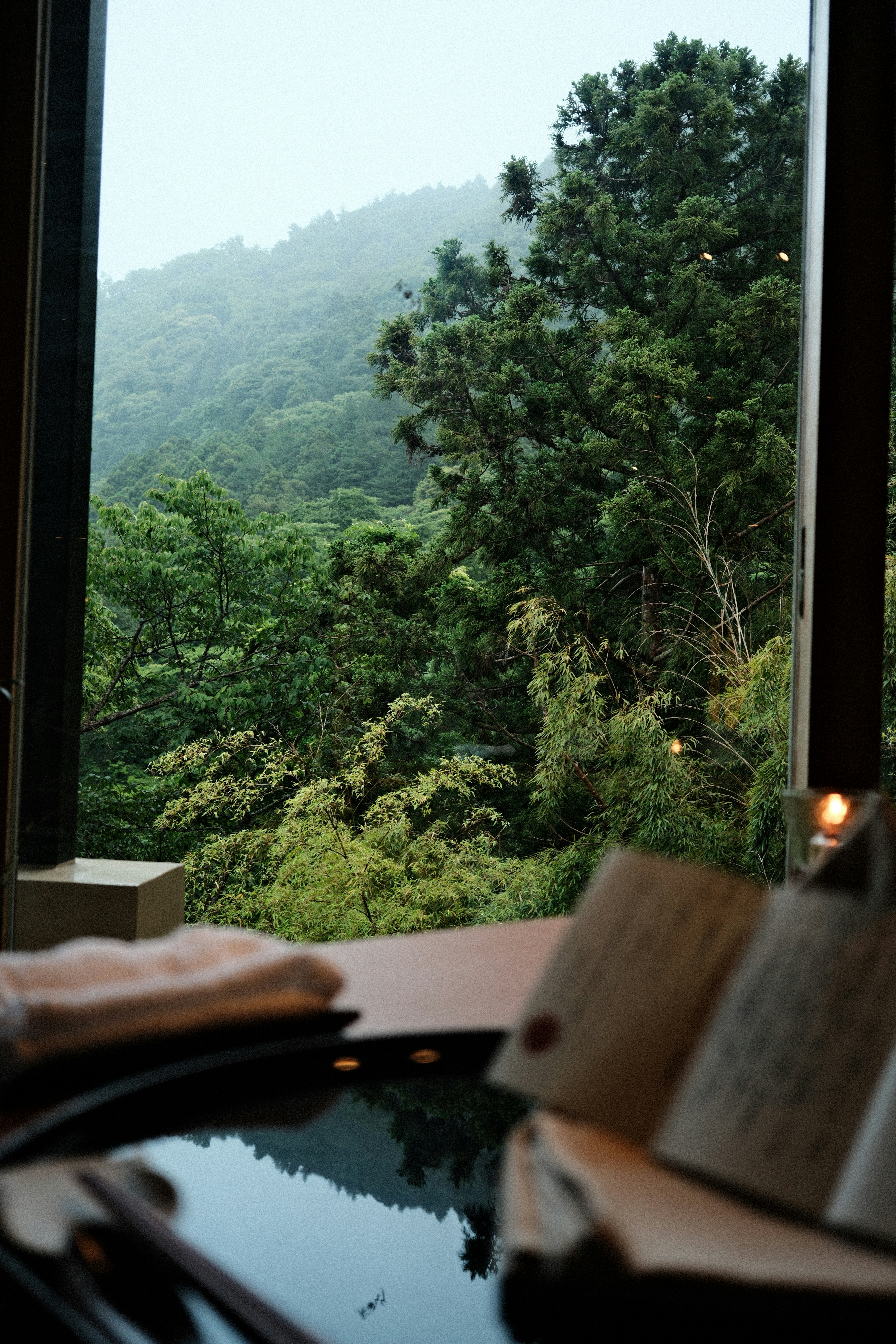Window to Serenity: A Verdant Terrace Framed by Rustic Indoor Quiet