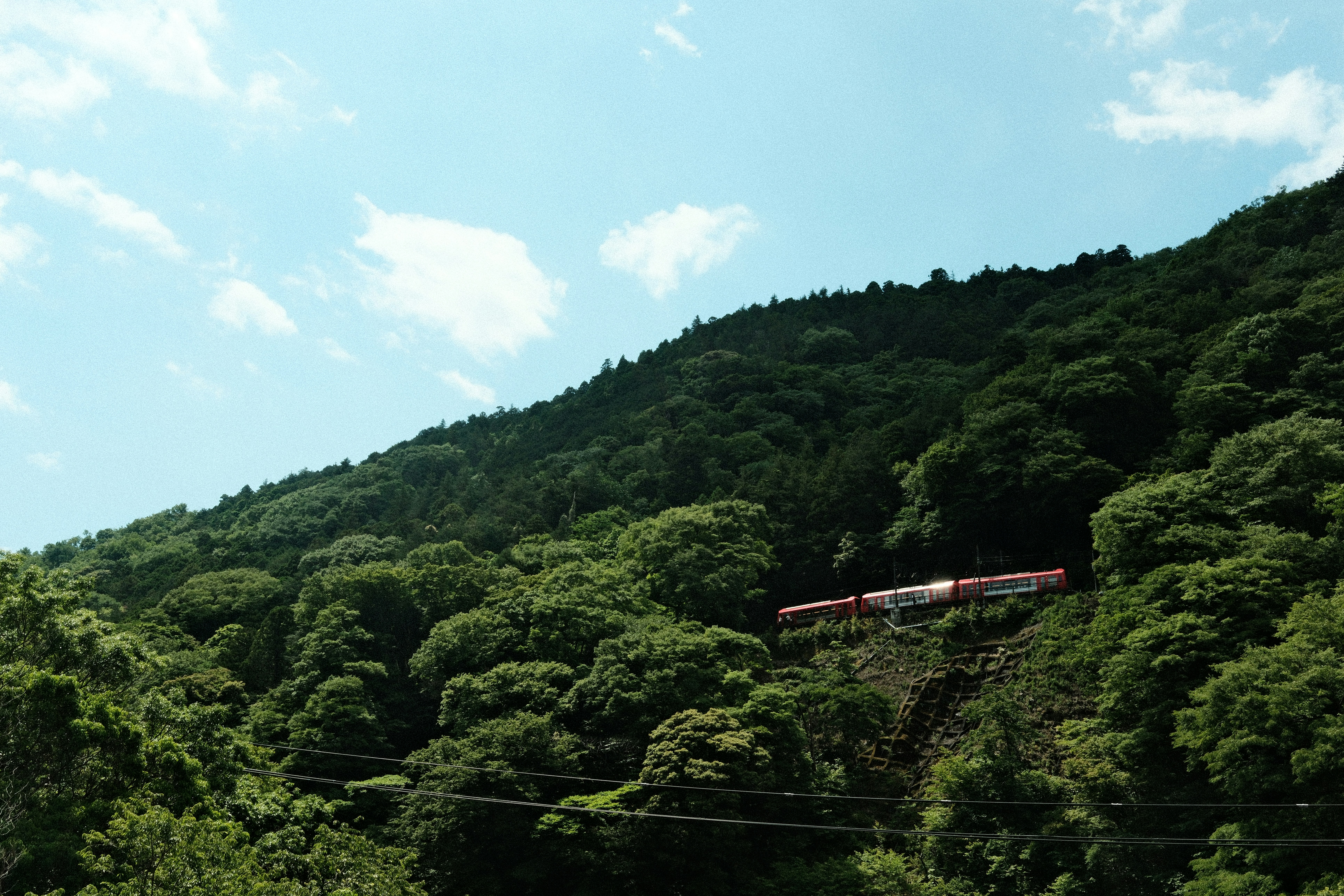 Red Carve Across the Green Ridge