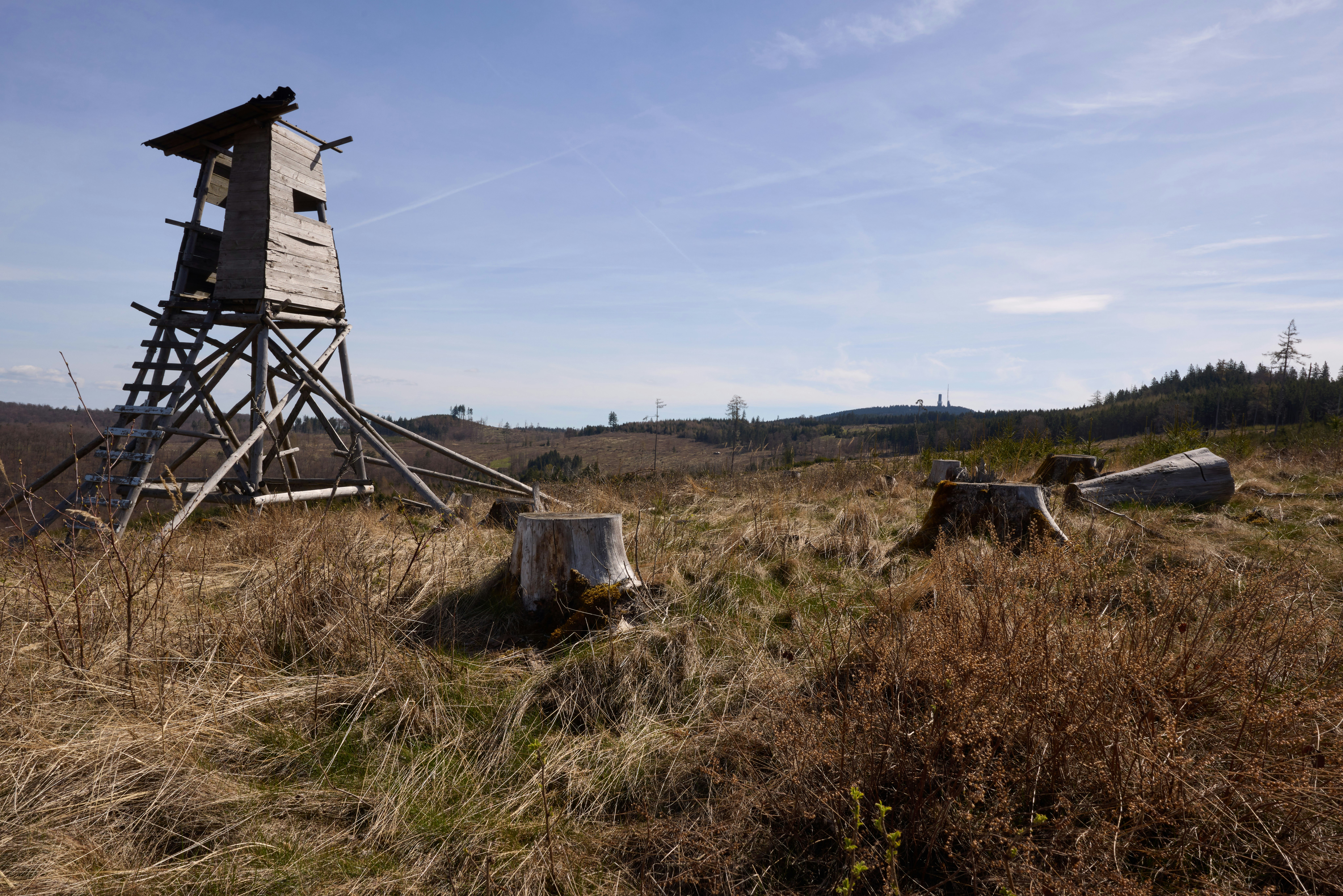 Rustic Lookout in Open Grassland