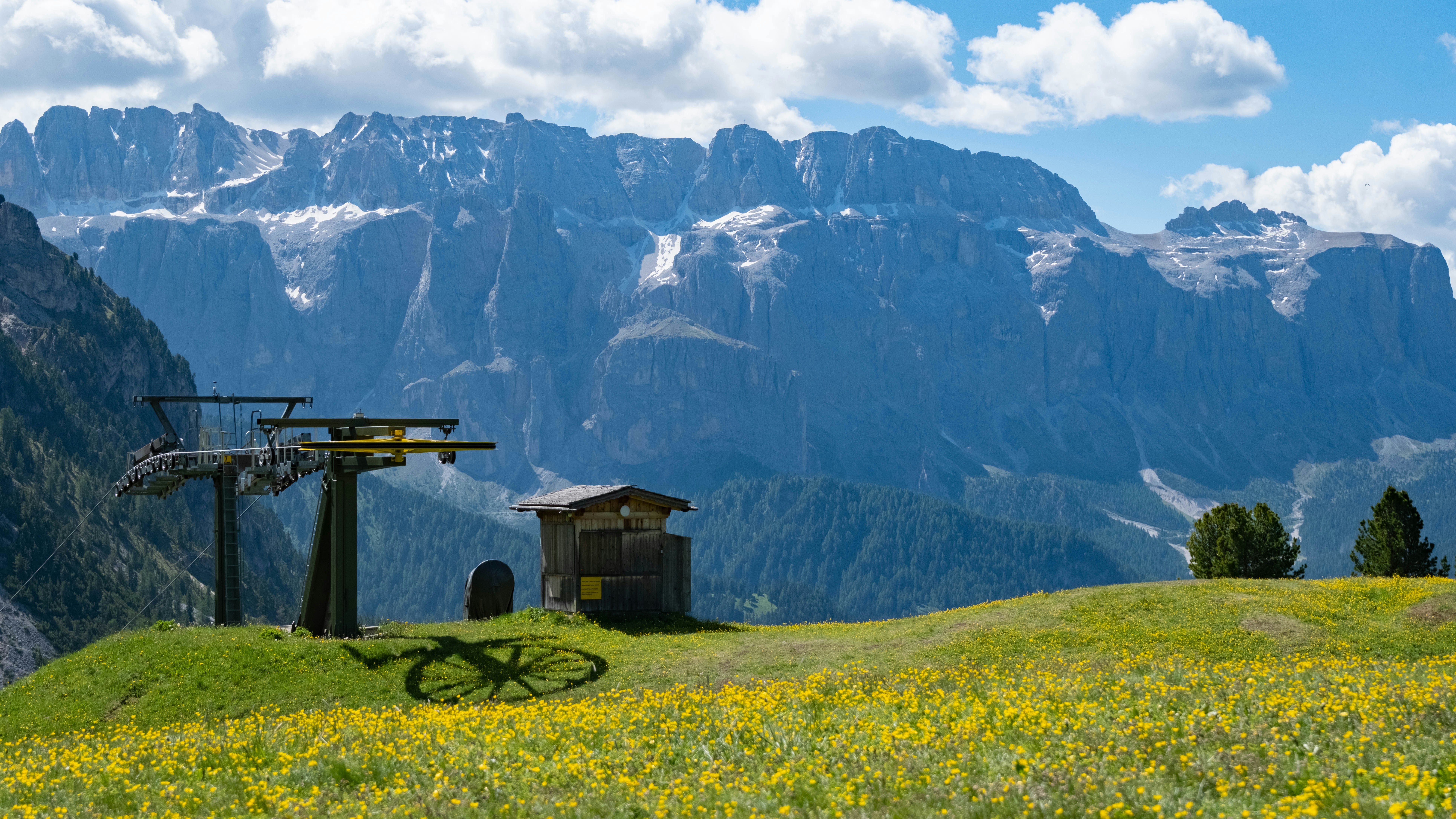 Chairlift Shadow over a Meadow of Alpine Gold