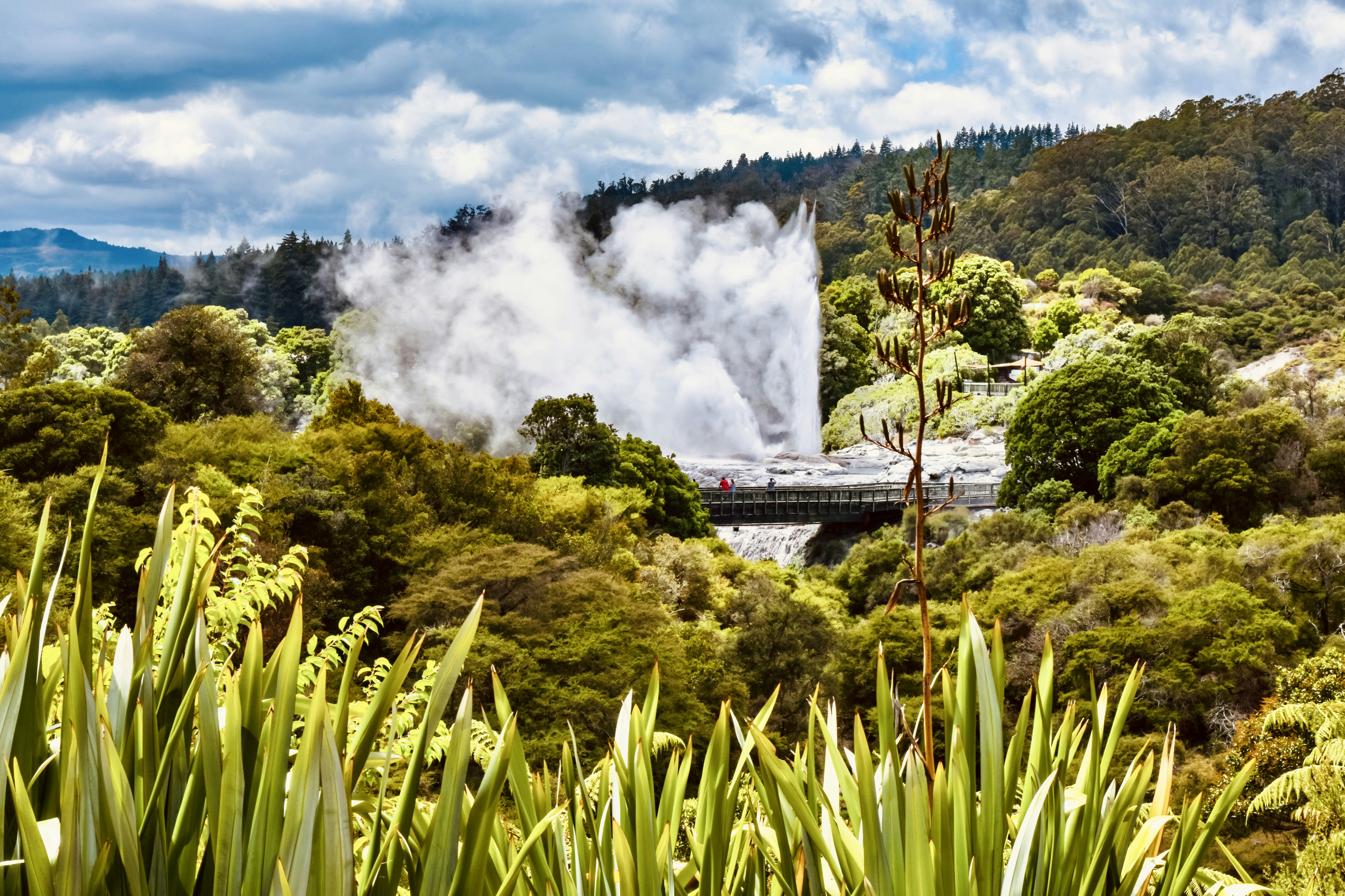 Verdant Gorge: a distant geyser in a lush valley framed by spiky foreground fins