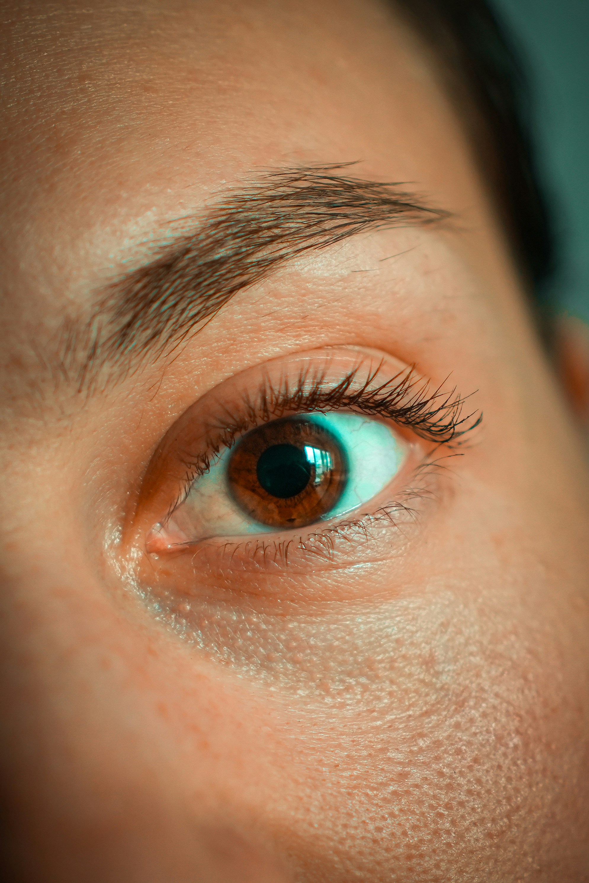 Close-Up Gaze: A Framing of a Curious Eye