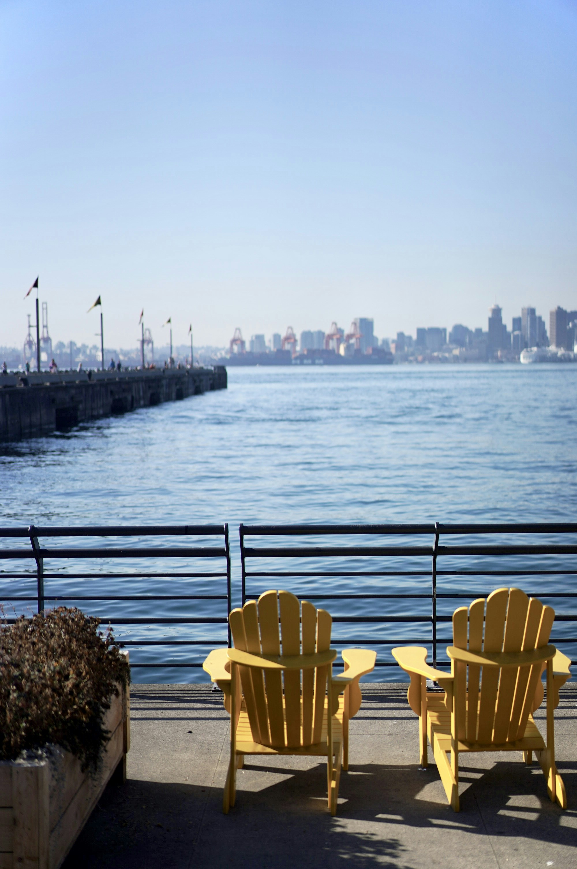 Golden Adirondack Chairs Quietly Facing the City Horizon