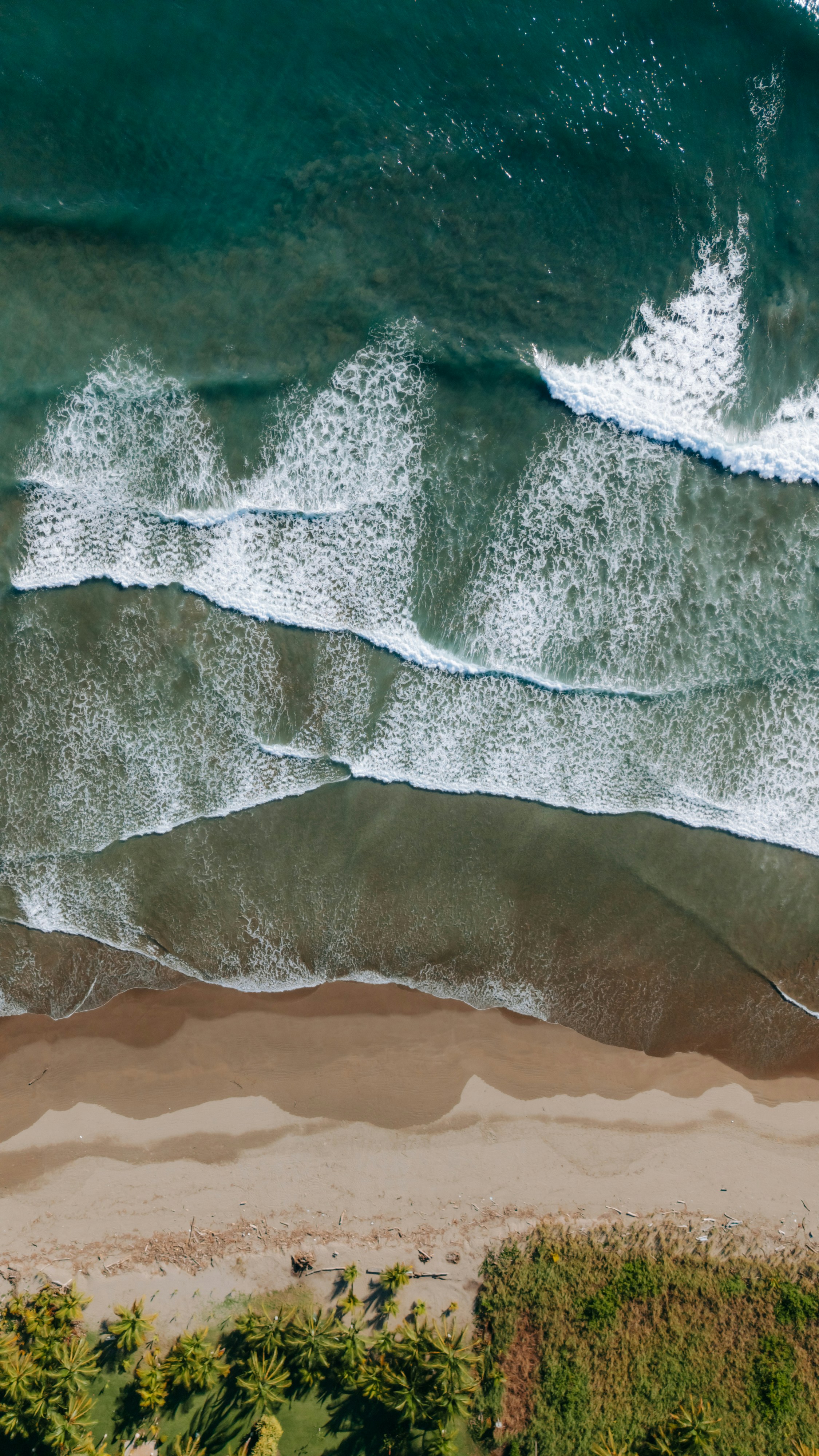 Dune and Surf: Aerial Gateways from Beach to Ocean