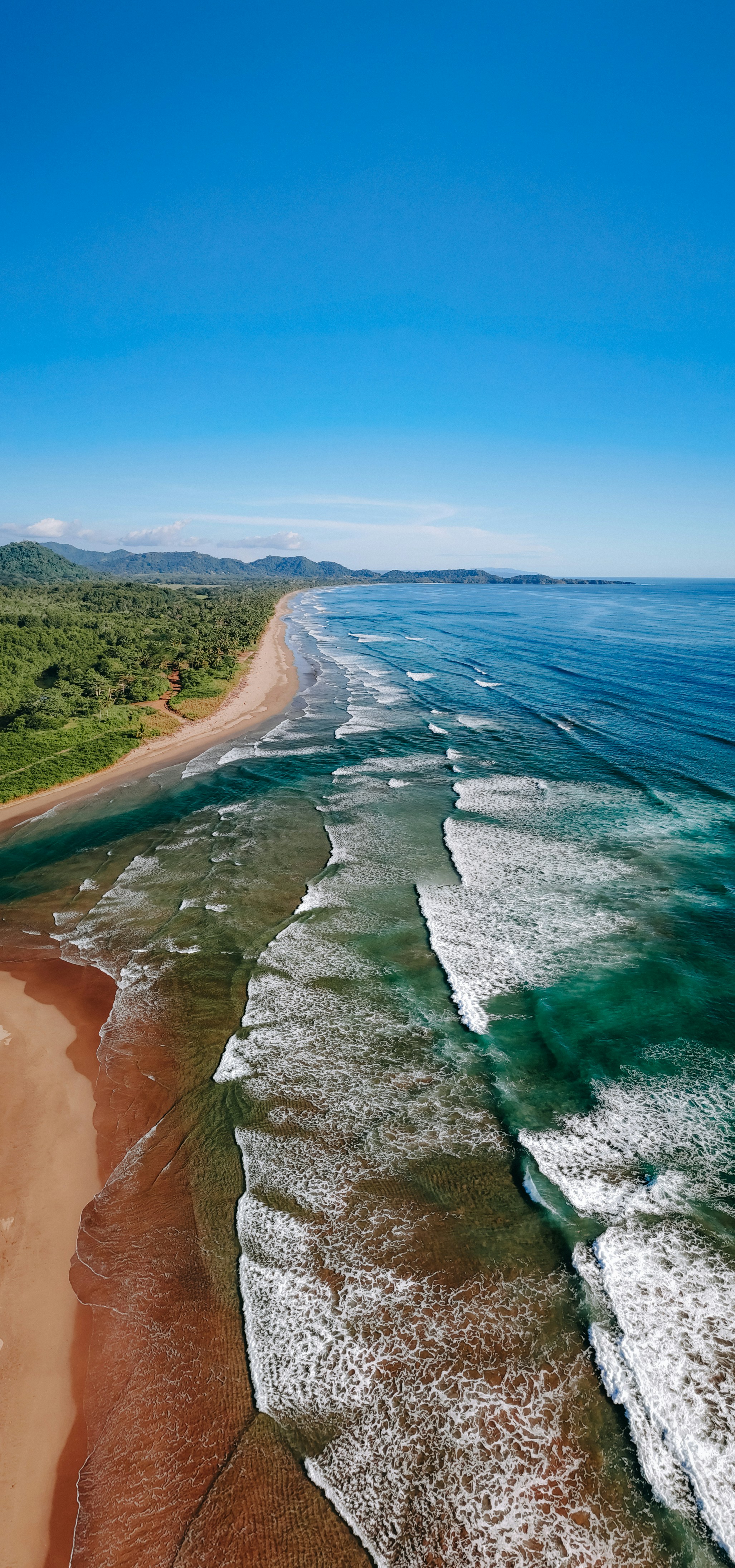 Coastal Ribbon: Aerial Sweep Along a Verdant Shoreline