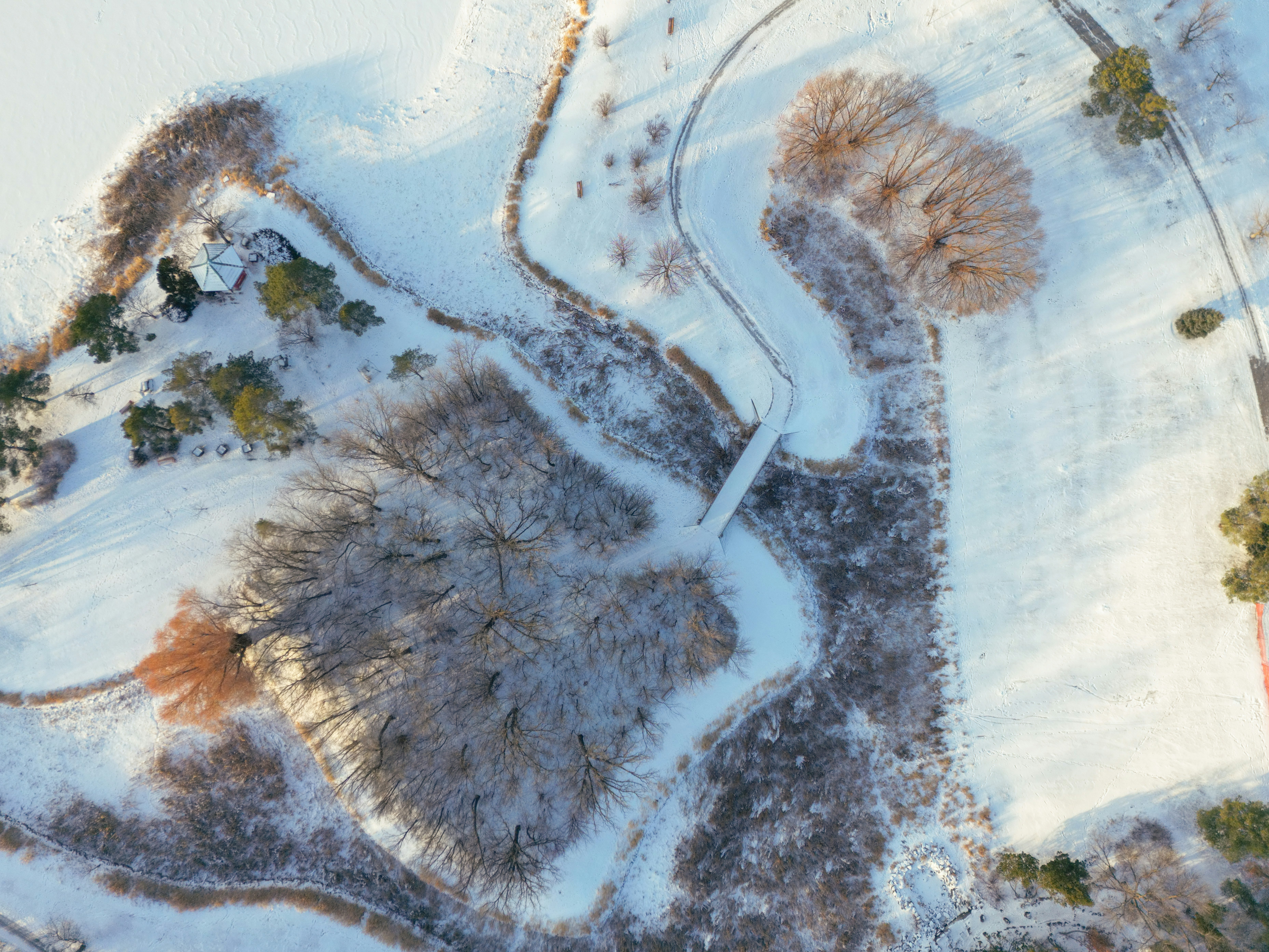 Snowbound Pathways: Aerial Map of Winter Gardens