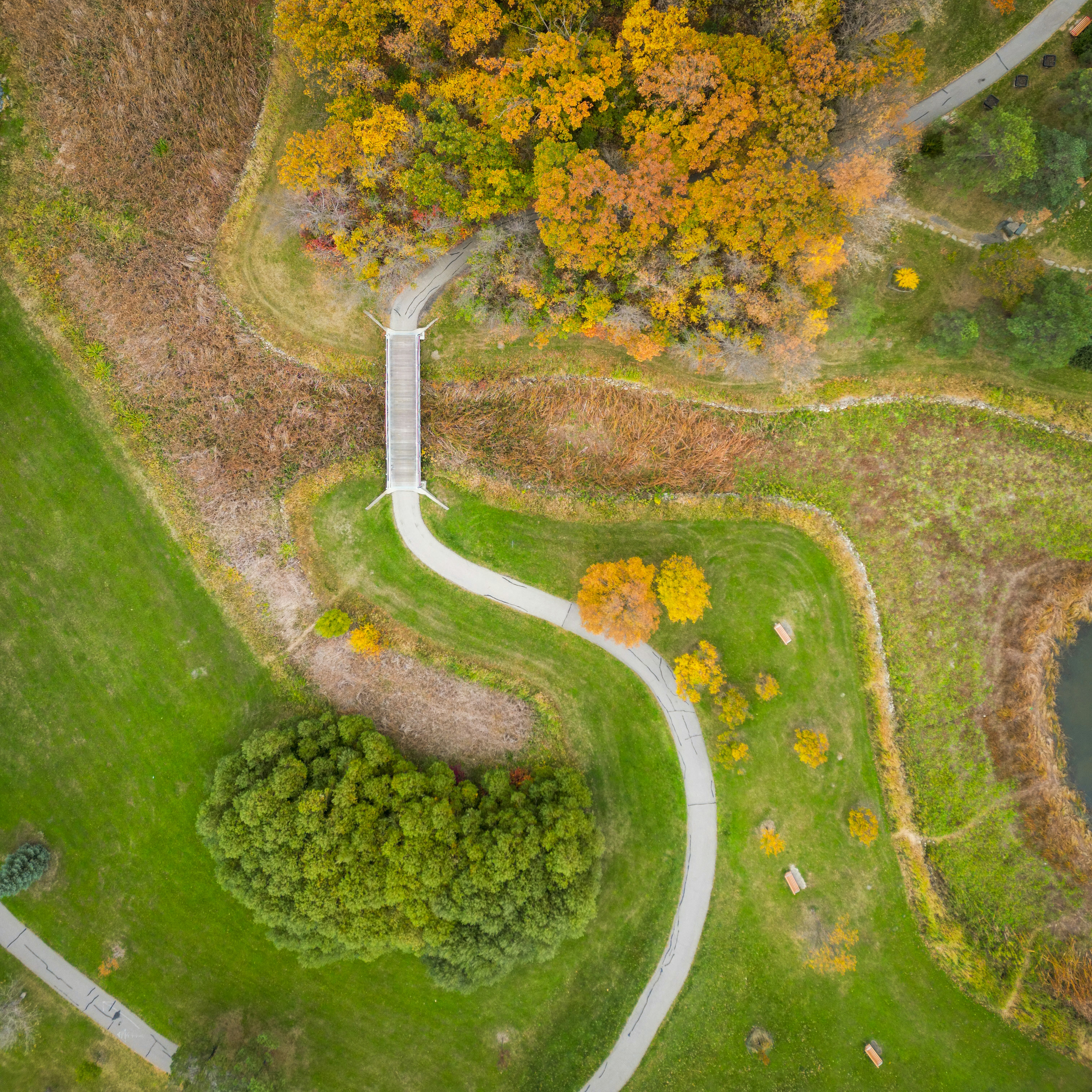 Autumn Serpentine Path: Aerial Wake of Colors